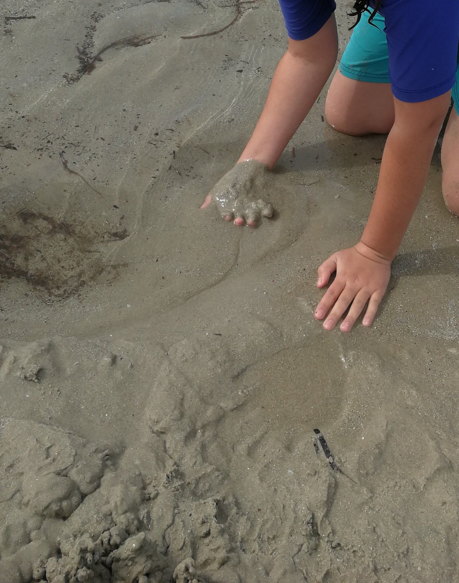 Simple Sand Sculpture - Drip Trees : 3 Steps - Instructables