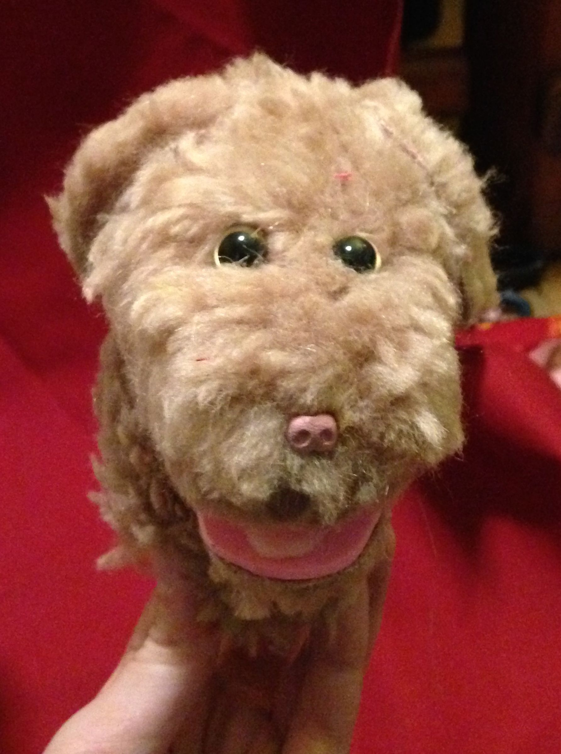 DIY Dog Puppet : 5 Steps (with Pictures) - Instructables