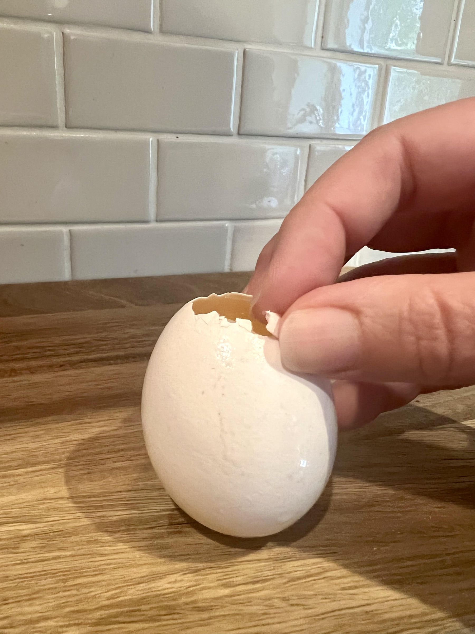 Egg Shell Planters : 5 Steps - Instructables