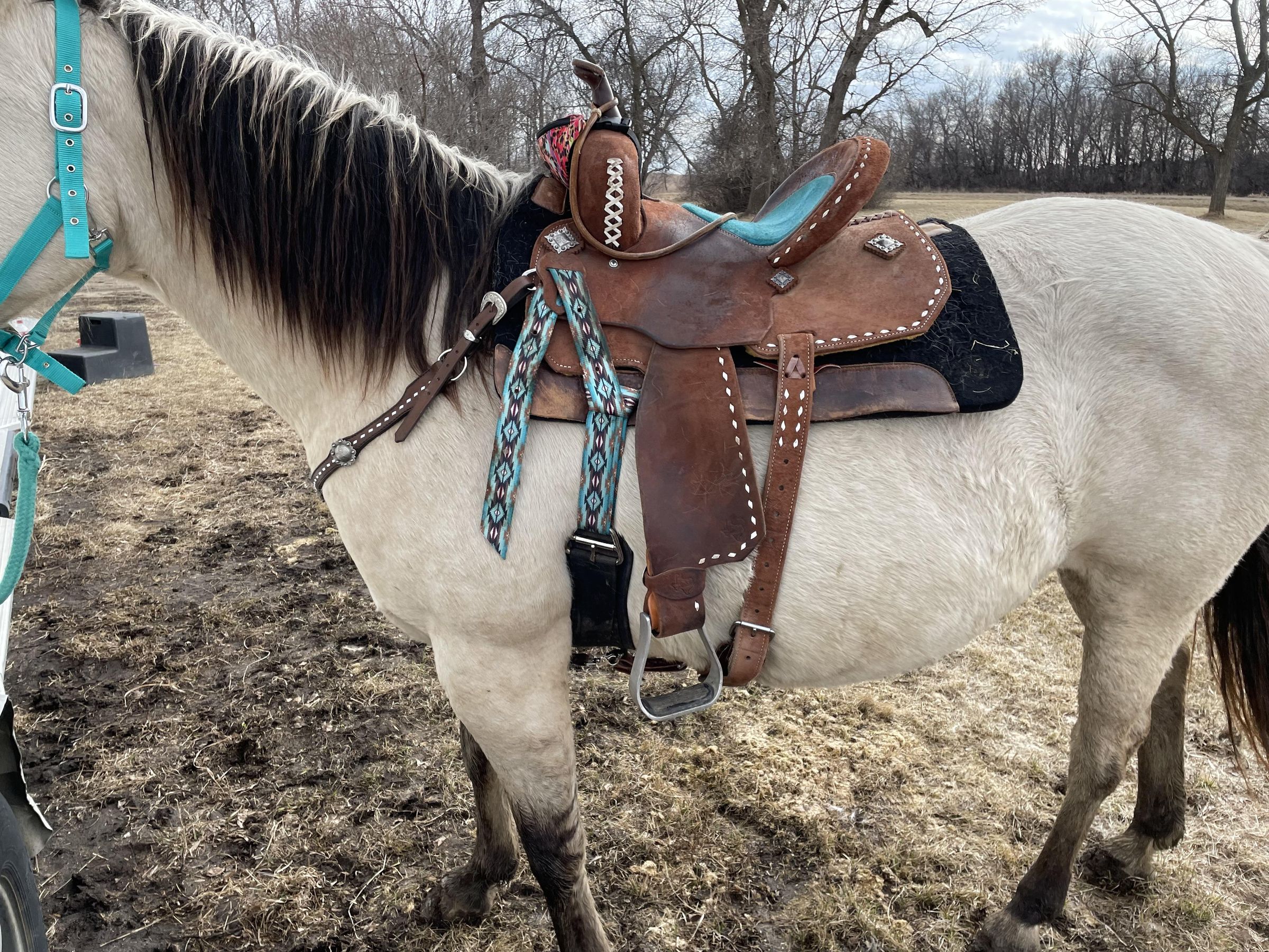 How to Saddle a Horse. : 6 Steps - Instructables