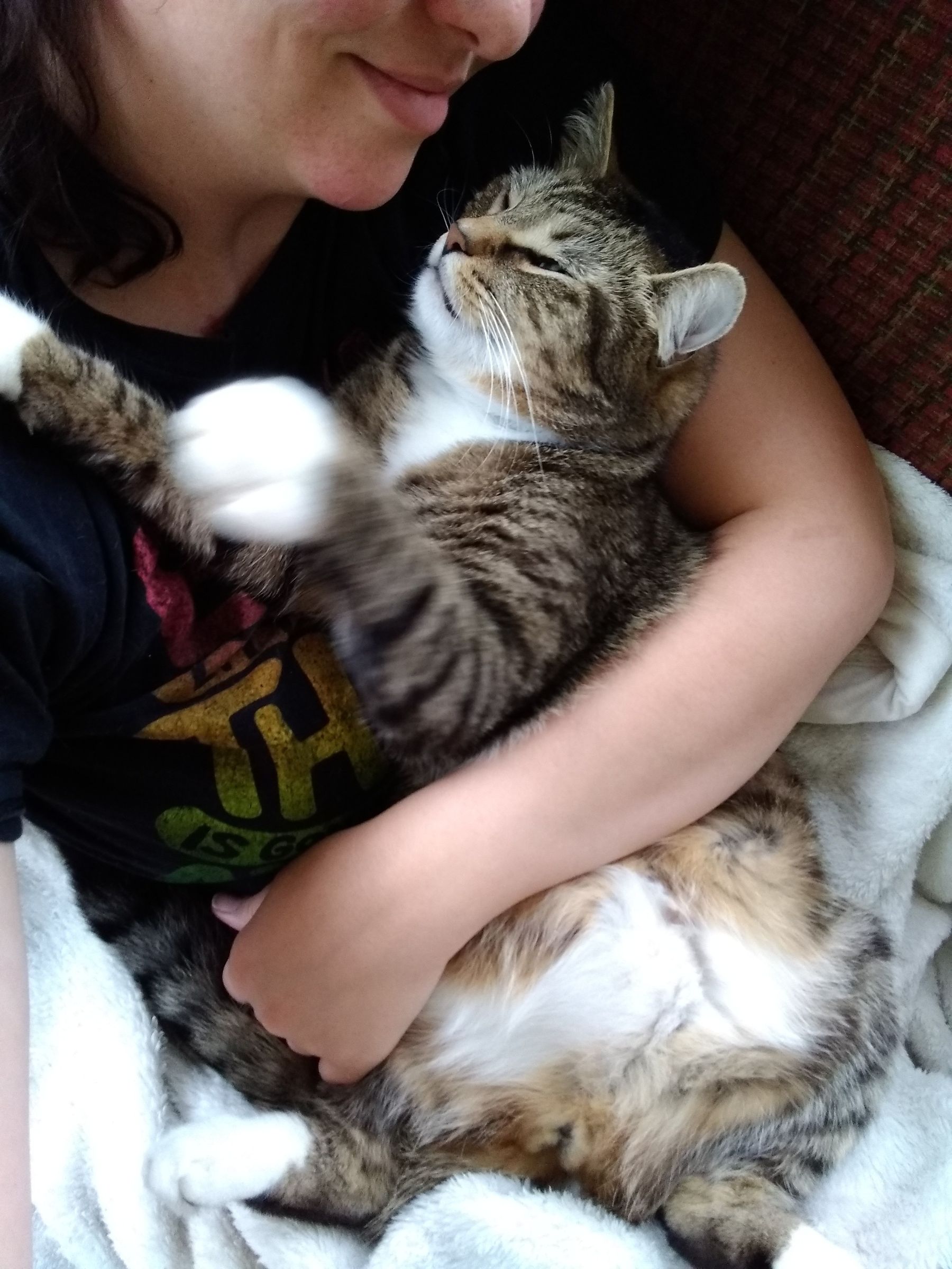How To: Lull Your Cat to Sleep : 14 Steps (with Pictures) - Instructables