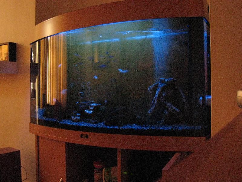 Fish Tank LED Moonlight / Moonlighting : 10 Steps - Instructables