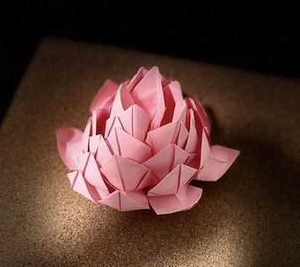 Water Lily Paper Art : 5 Steps (with Pictures) - Instructables