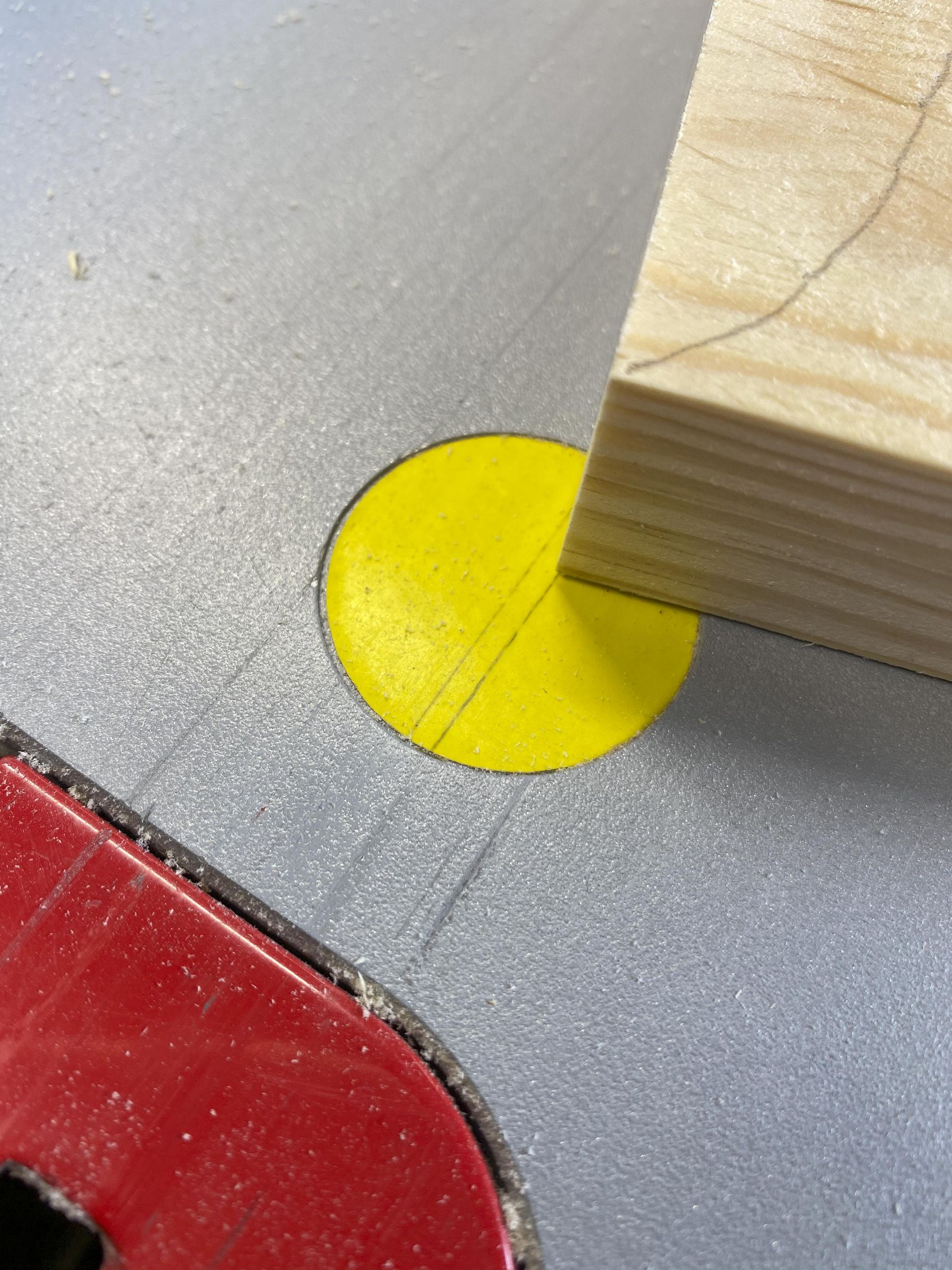 🐦 House Sparrow 🐦 Bird Box Terrace 🐦 : 11 Steps (with Pictures ...