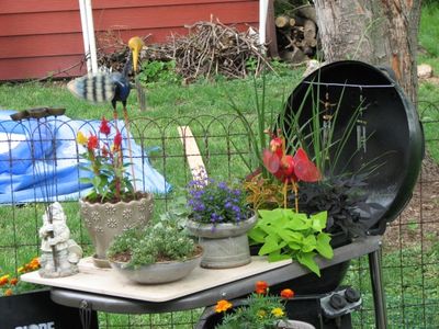 How to Turn Your Old Grill Into a Planter : 18 Steps (with Pictures ...