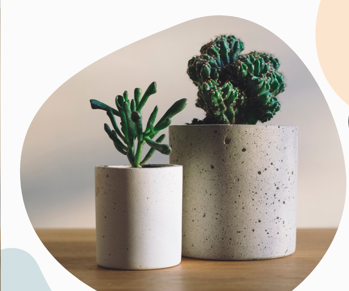 Casting Plaster-plant Pot : 7 Steps - Instructables