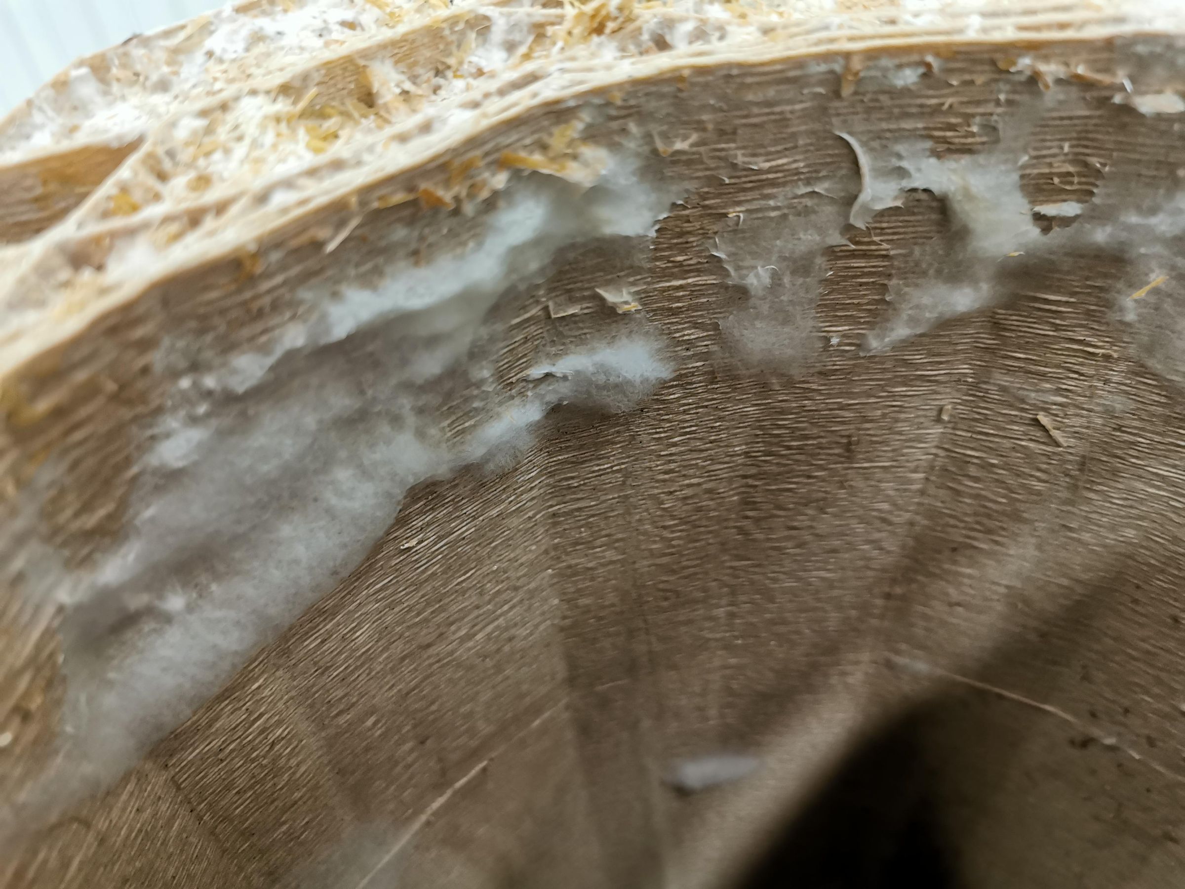 3D Printed and Mycelium Grown Beehives : 9 Steps (with Pictures ...