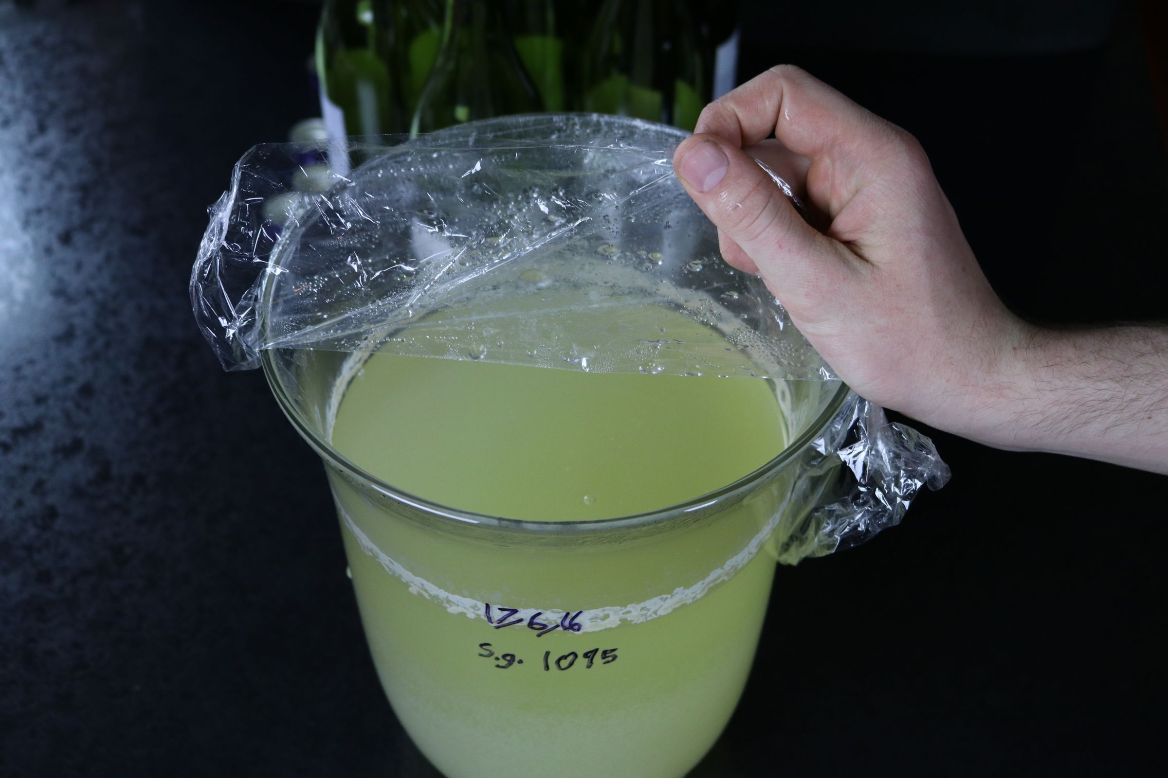 Home Made Apple Core Wine : 9 Steps (with Pictures) - Instructables