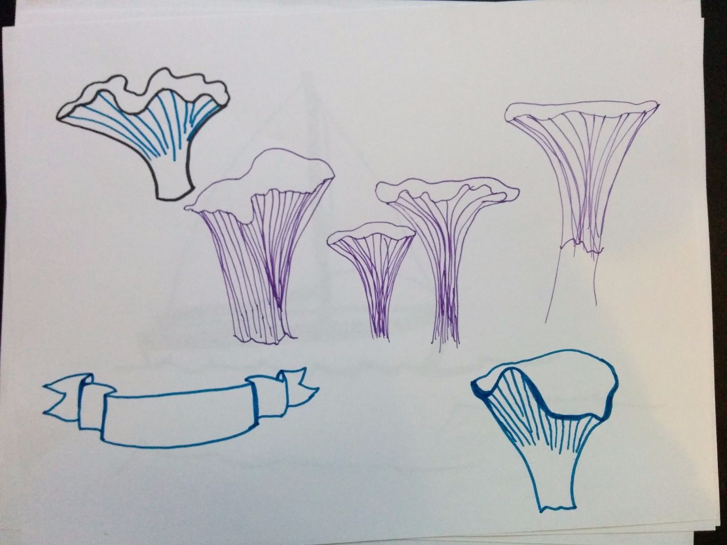 Designing a Coloring Book : 3 Steps - Instructables