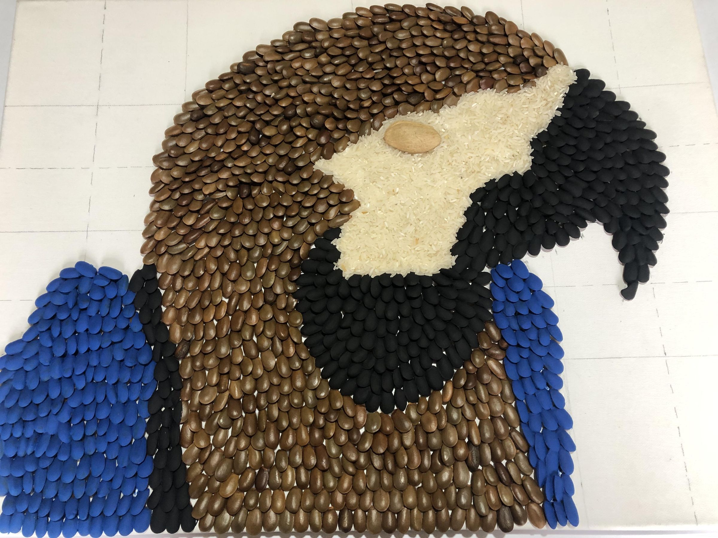 Macaw With Soursop Seeds, Rice and Mango. : 12 Steps (with Pictures ...