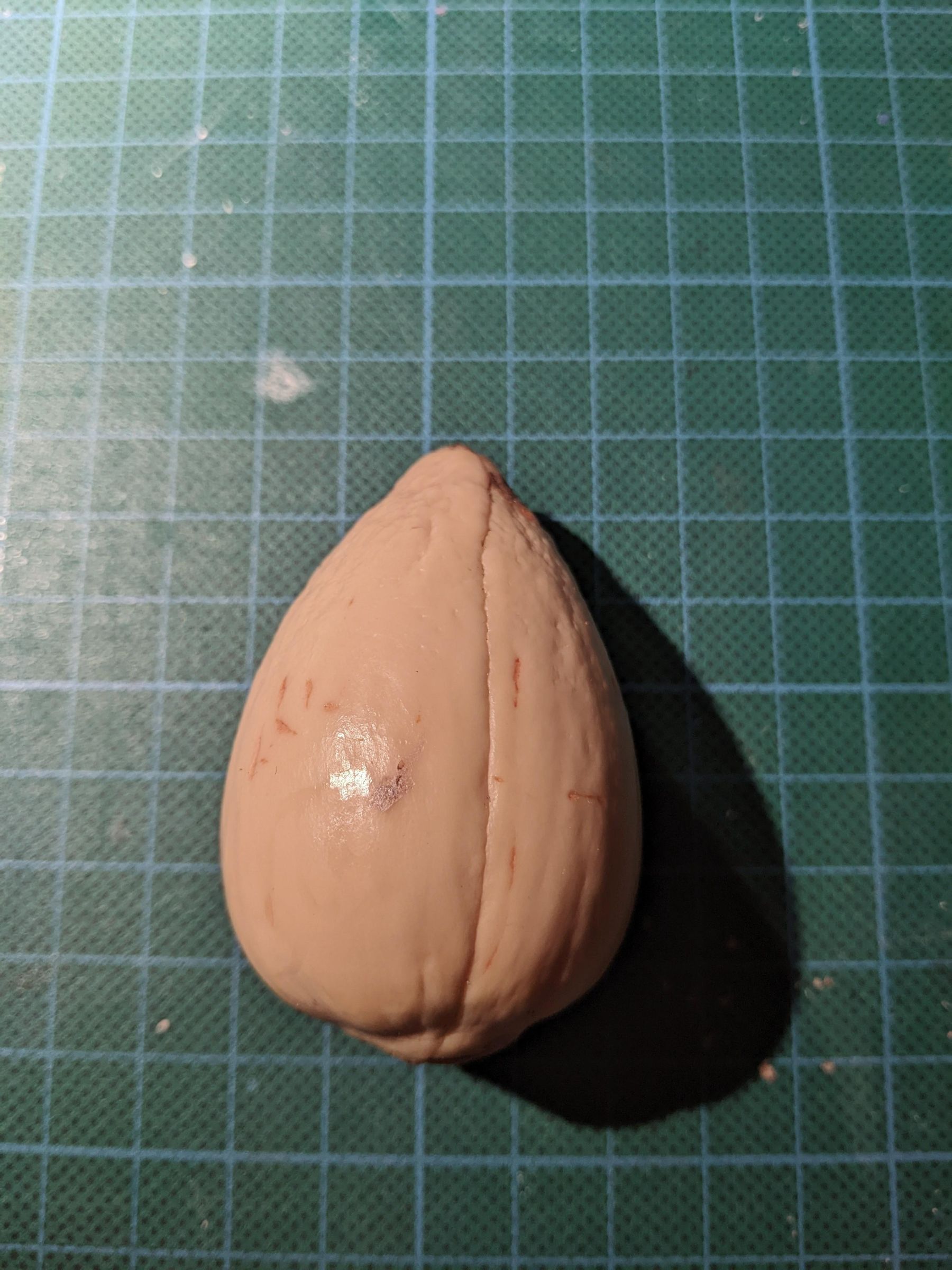 Buttons From Avocado Pits : 8 Steps (with Pictures) - Instructables