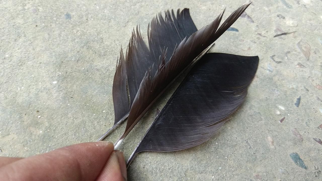 Traditional Wooden Arrow : 8 Steps (with Pictures) - Instructables