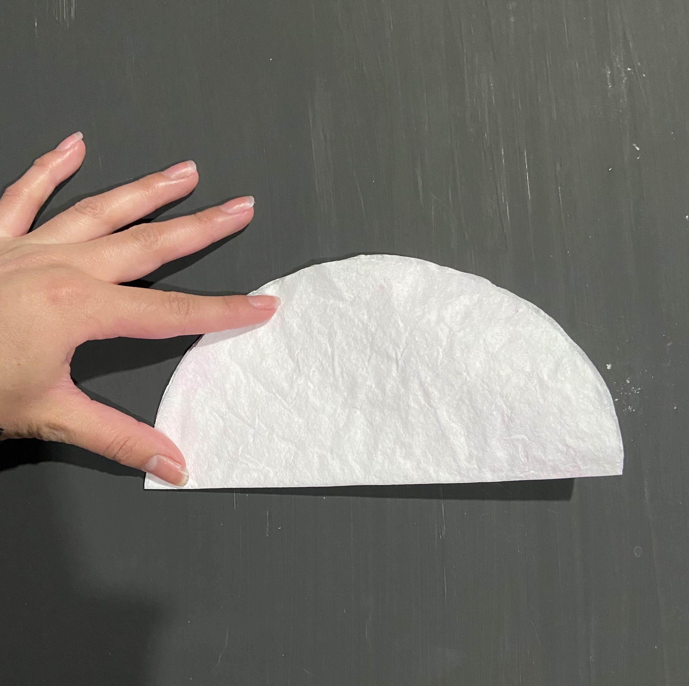 DIY Coffee Filter Flower Wall : 10 Steps (with Pictures) - Instructables