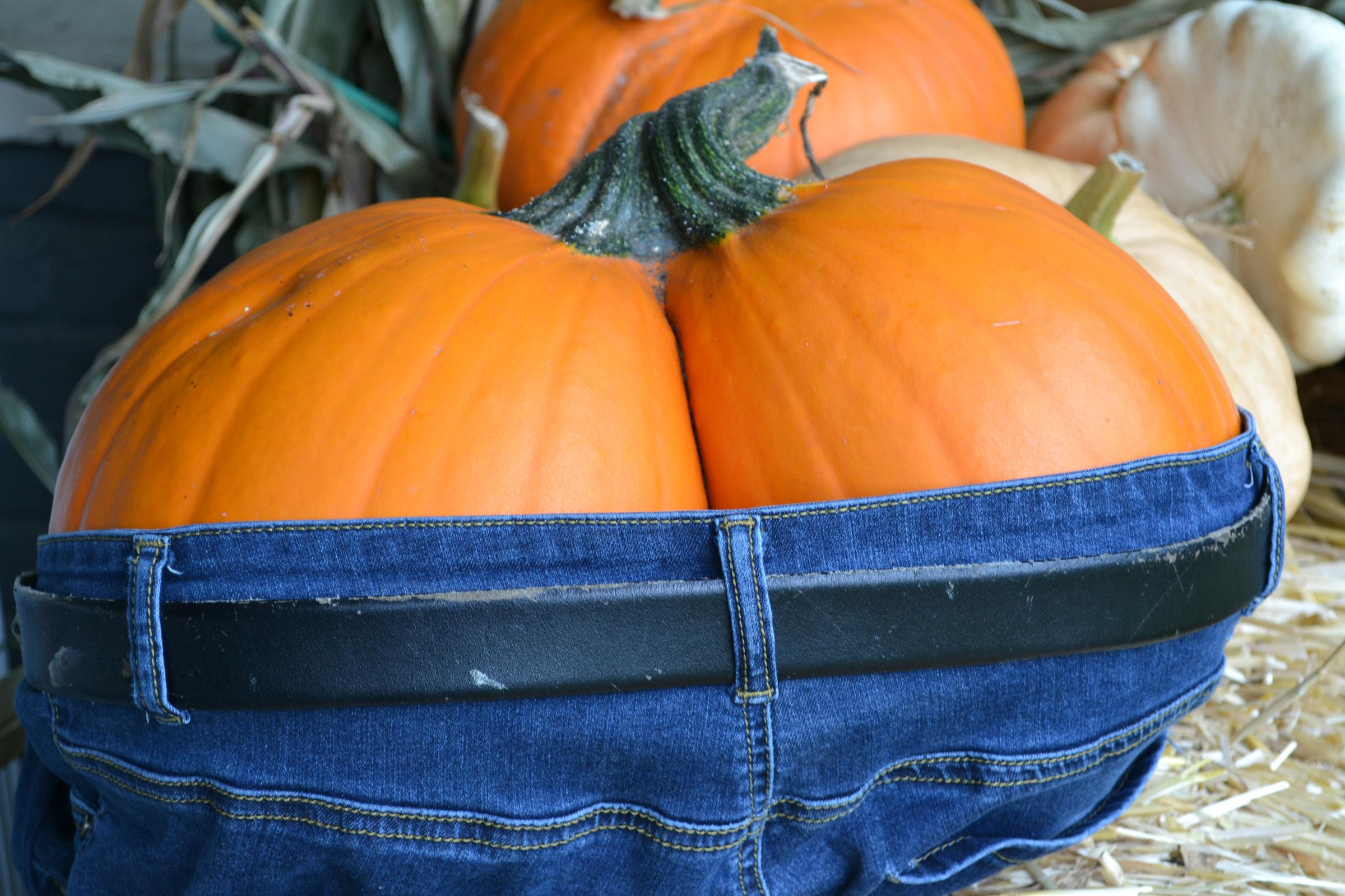 What Does a Rumpkin at Work Look Like? : 3 Steps (with Pictures ...