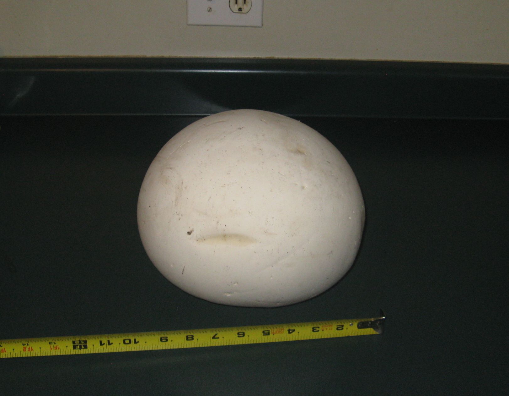 Cream of Giant Puffball Soup : 7 Steps (with Pictures) - Instructables