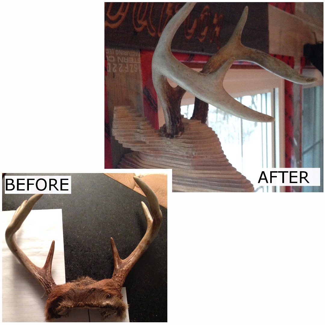 Antler Mount : 9 Steps (with Pictures) - Instructables