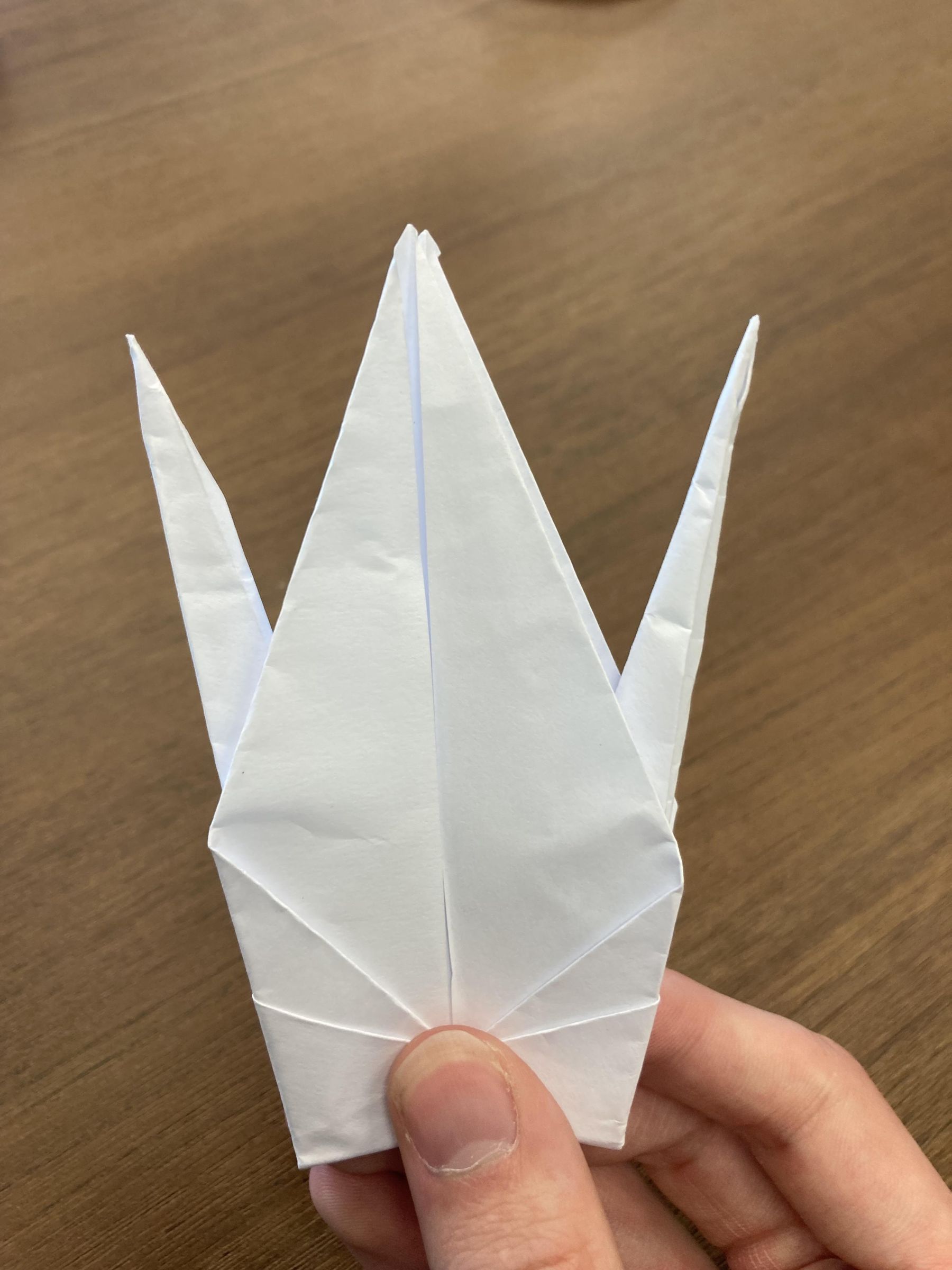 Folding a Paper Crane : 16 Steps (with Pictures) - Instructables