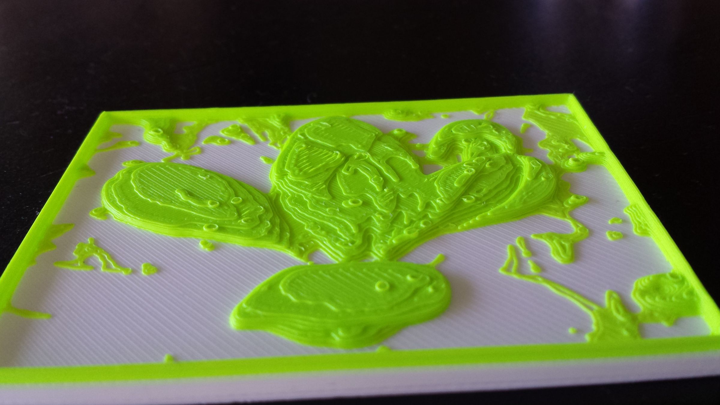 Dual Color 3d Printed Image : 4 Steps (with Pictures) - Instructables