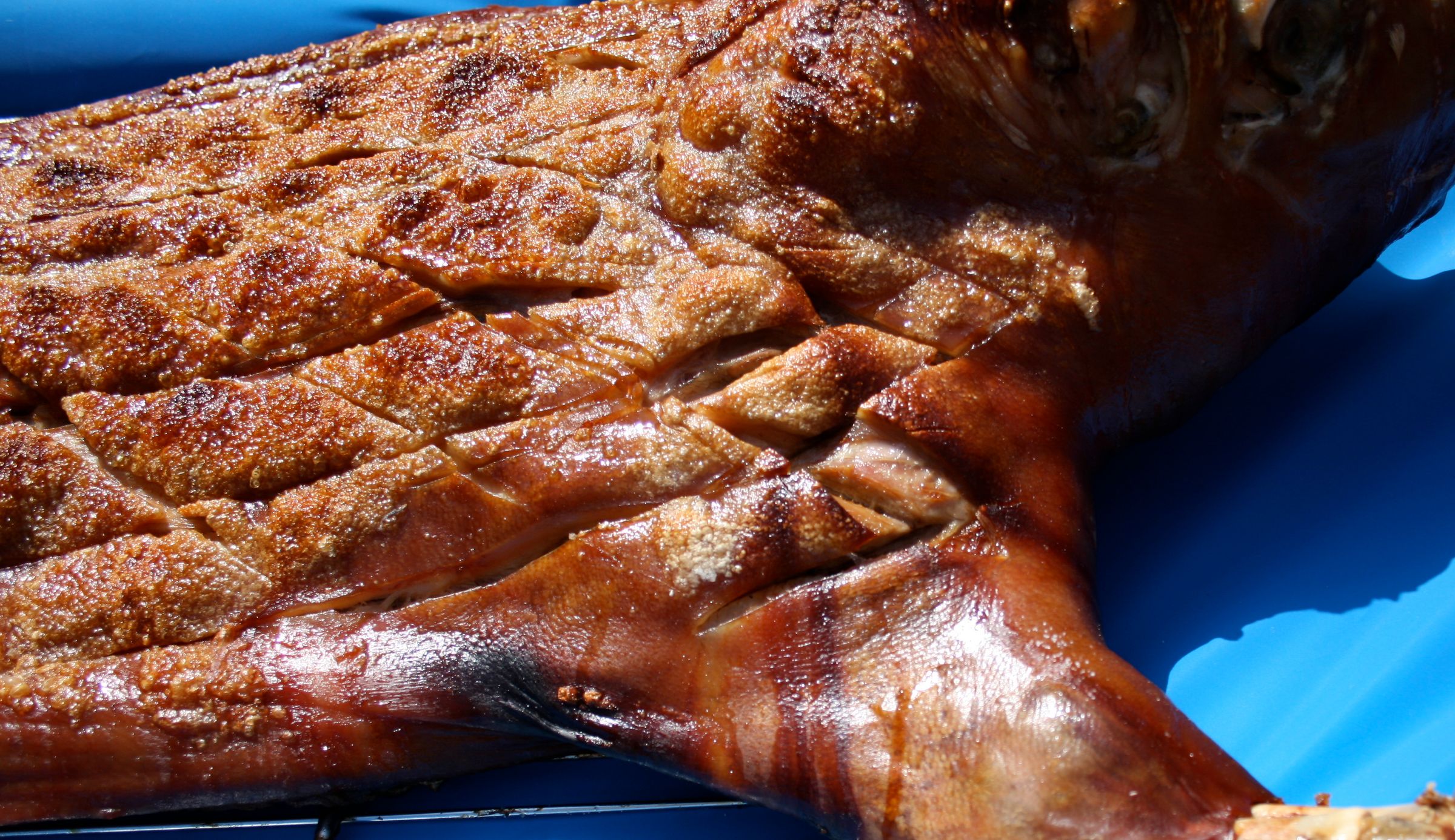 Build a Caja China ~ Roast a Pig in a Box : 10 Steps (with Pictures ...