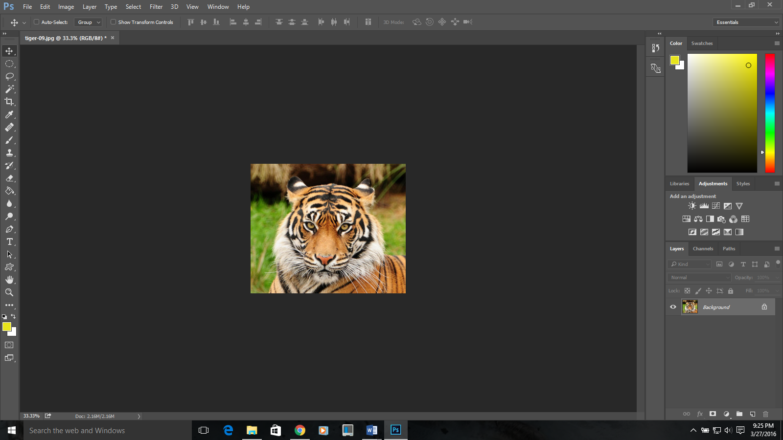 Learning the Basics of Adobe Photoshop : 6 Steps - Instructables