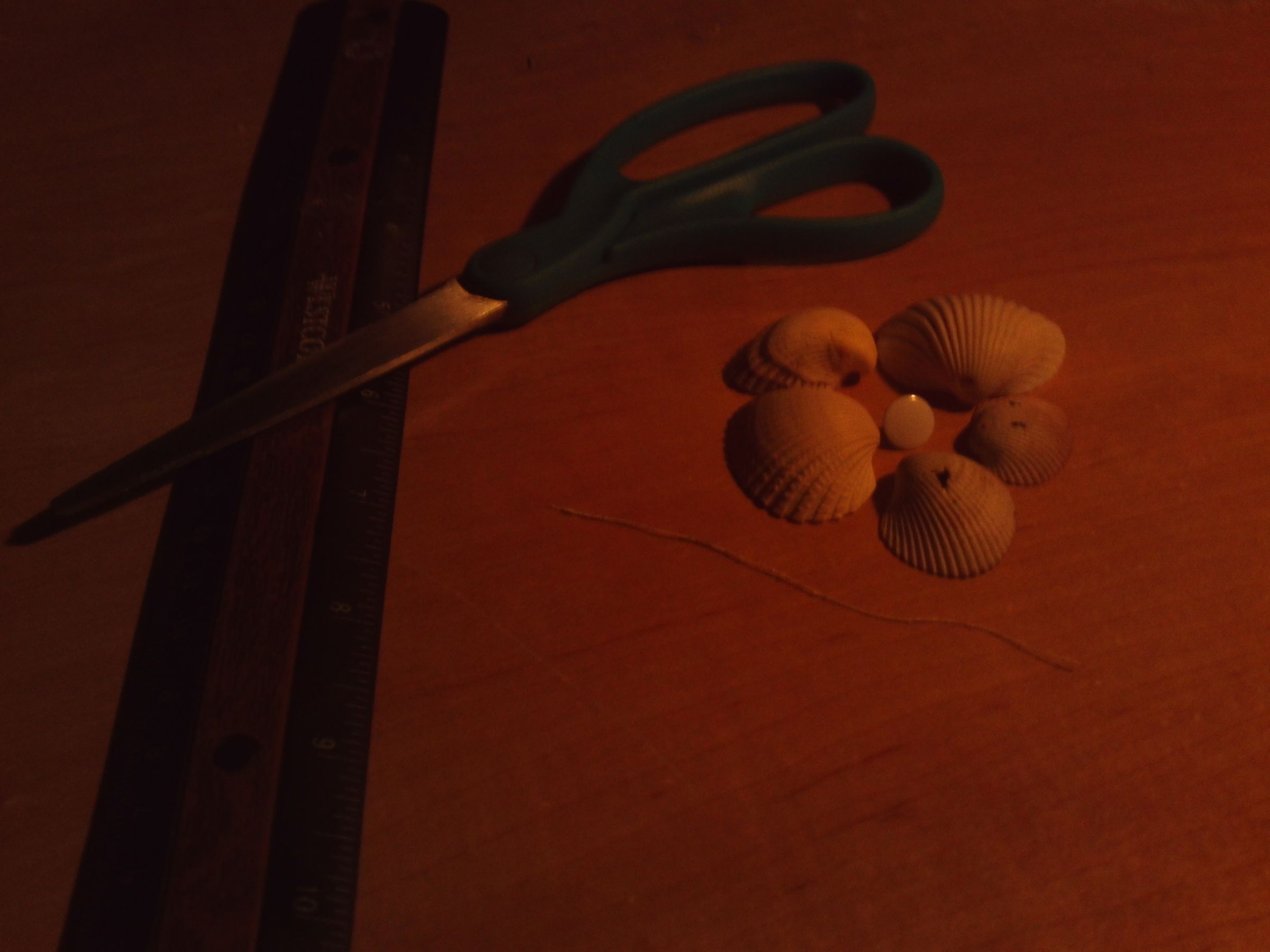 Homemade Seashell Piercing : 6 Steps - Instructables