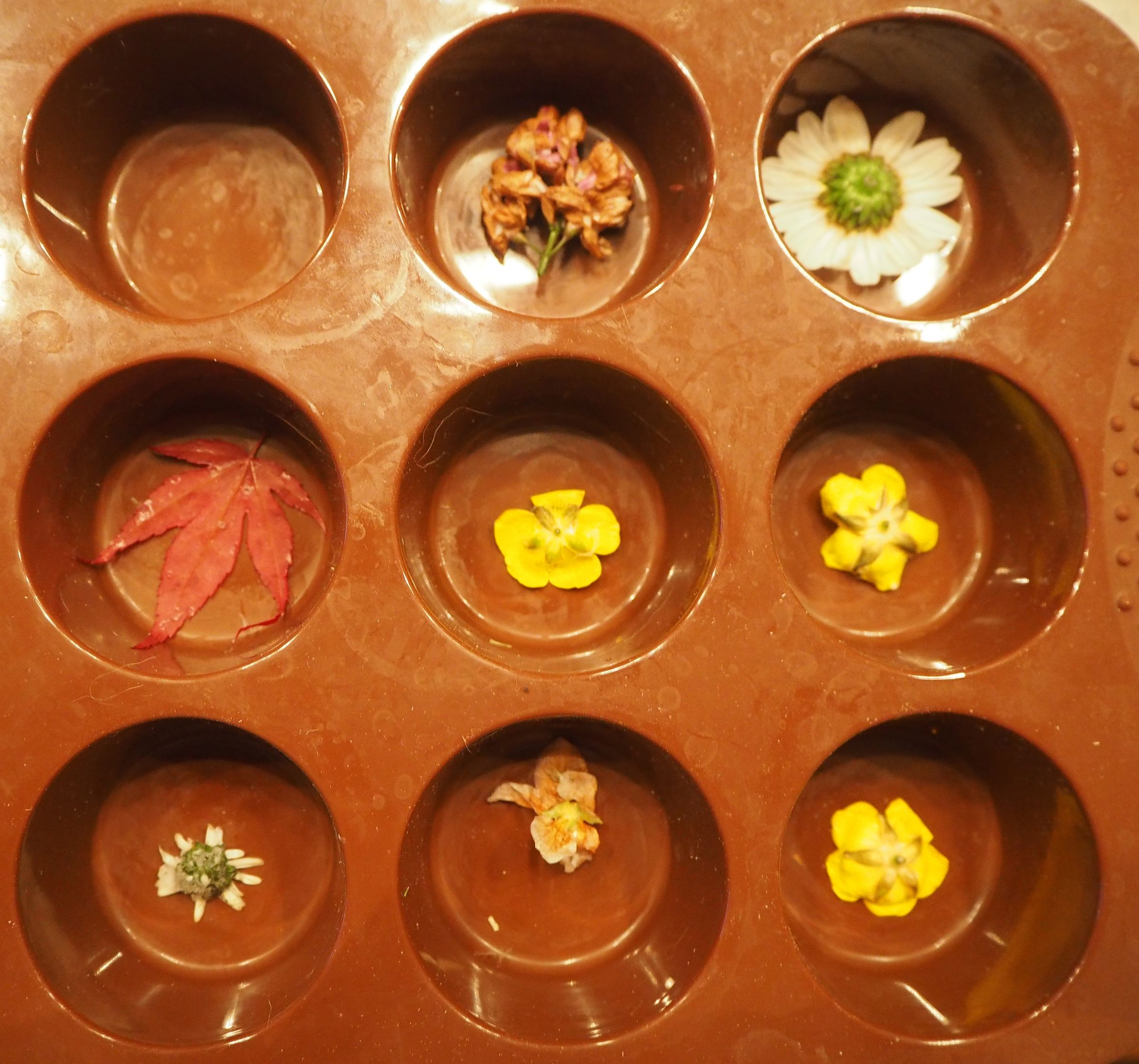 Techniques to Embed Flowers in Resin : 12 Steps (with Pictures ...