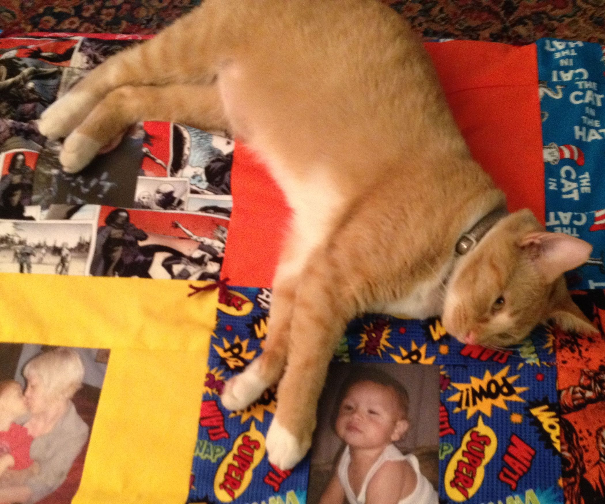 Create a Cuddly Memory Quilt (cat Not Included) : 5 Steps (with ...