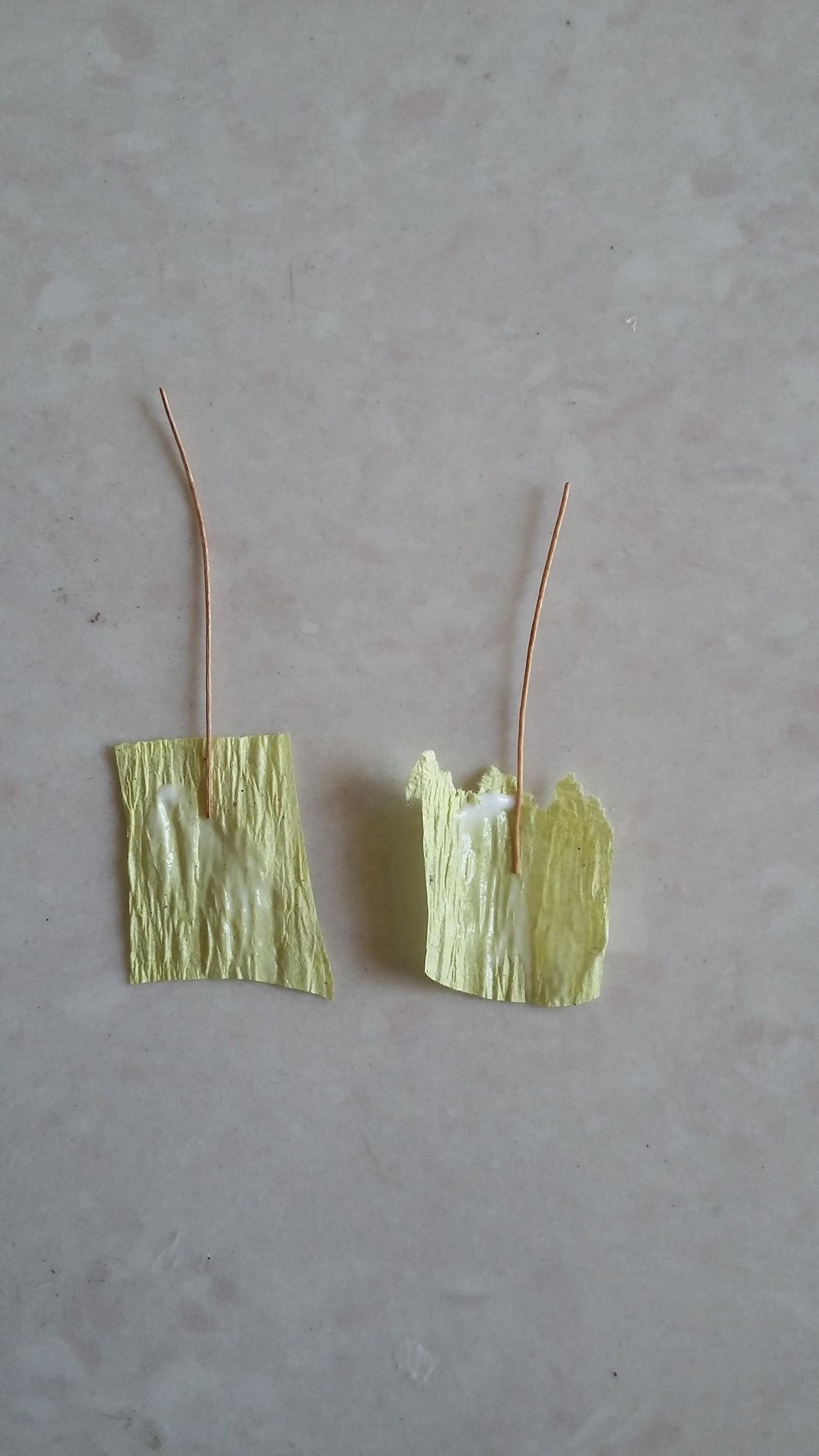 Beautiful Paper Flowers : 9 Steps (with Pictures) - Instructables