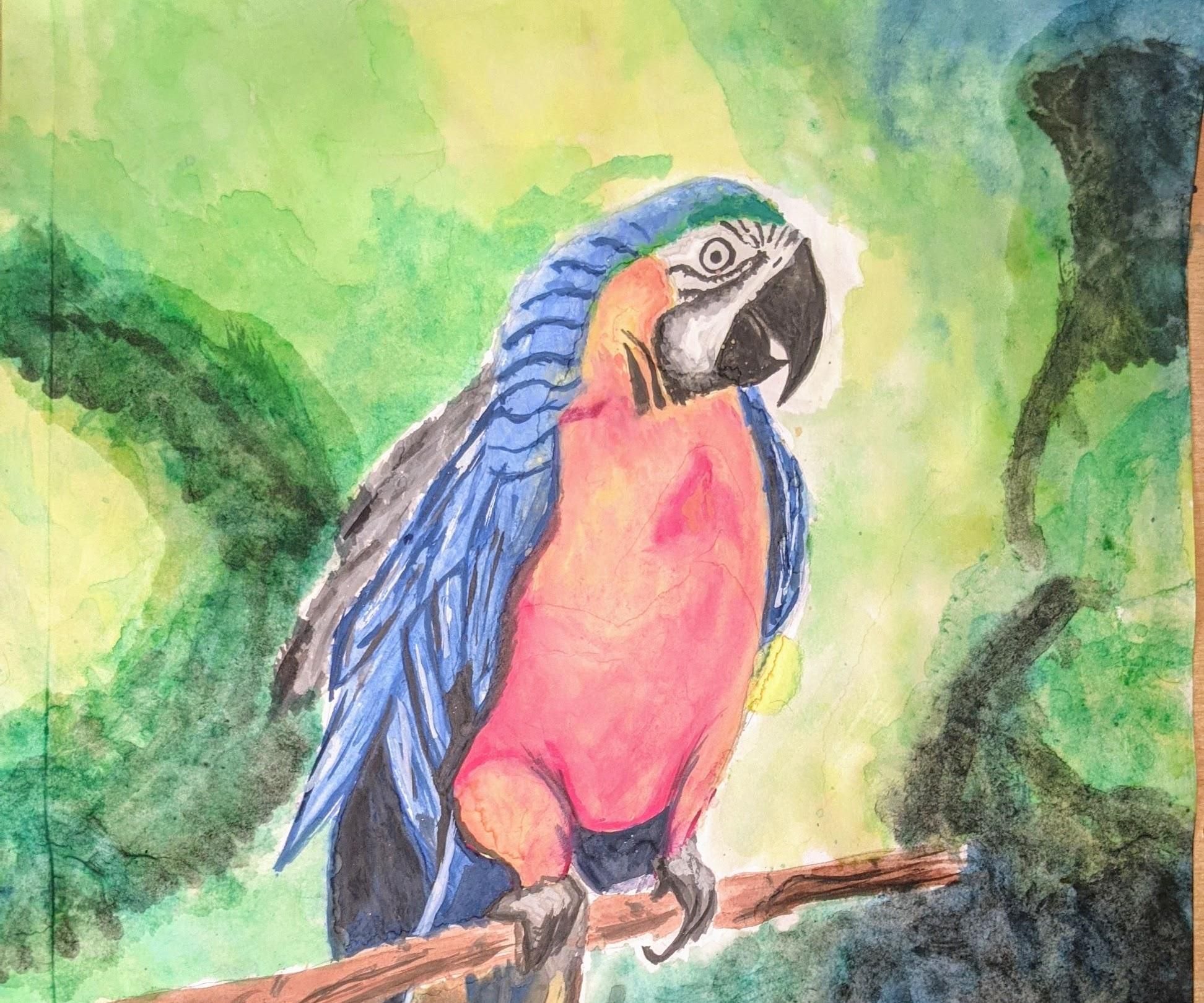 Realistic Watercolor Macaw : 8 Steps - Instructables