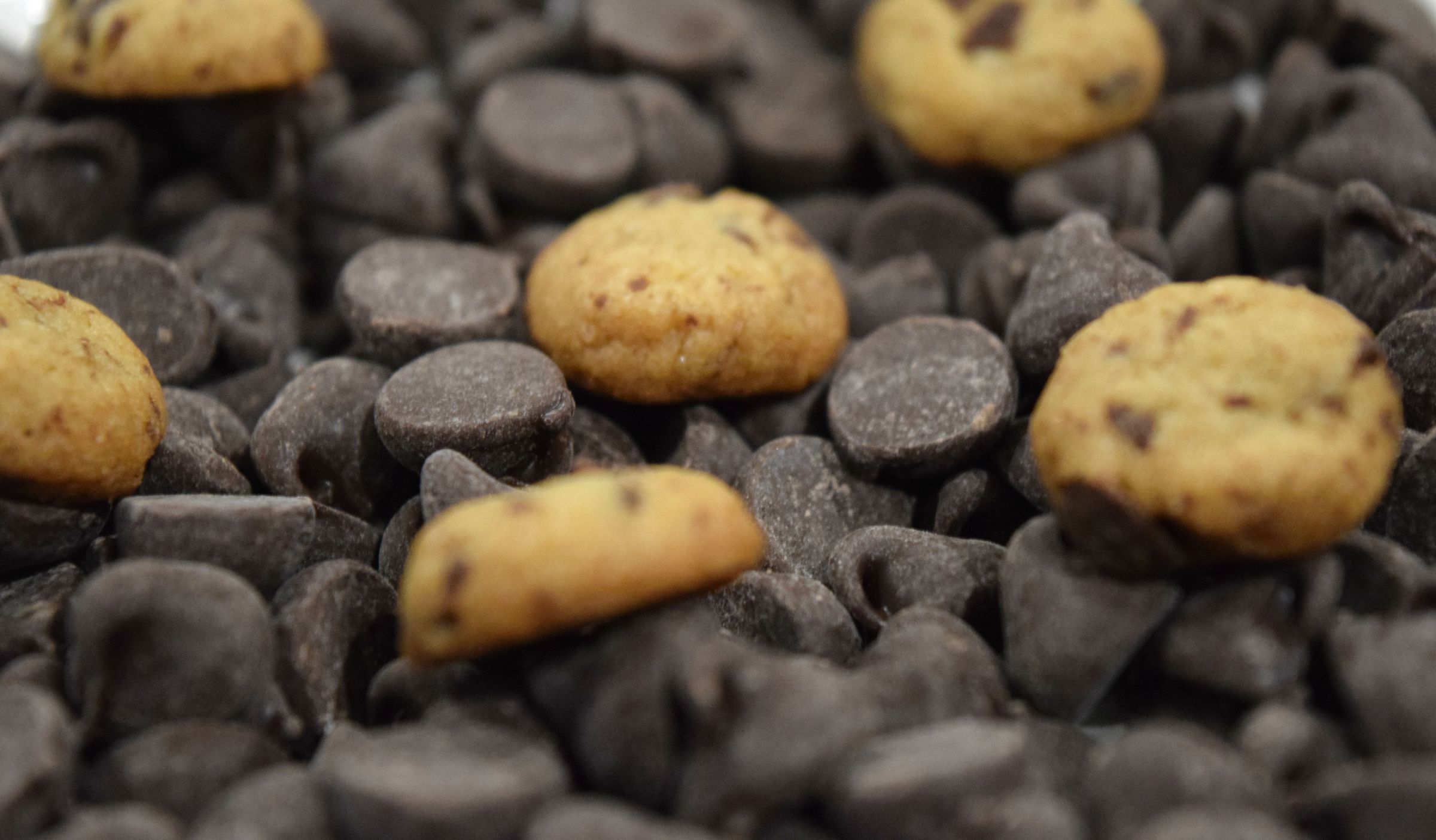 The Sweetest (and Cutest) Gift to Give: Tiny Cookies : 6 Steps (with ...