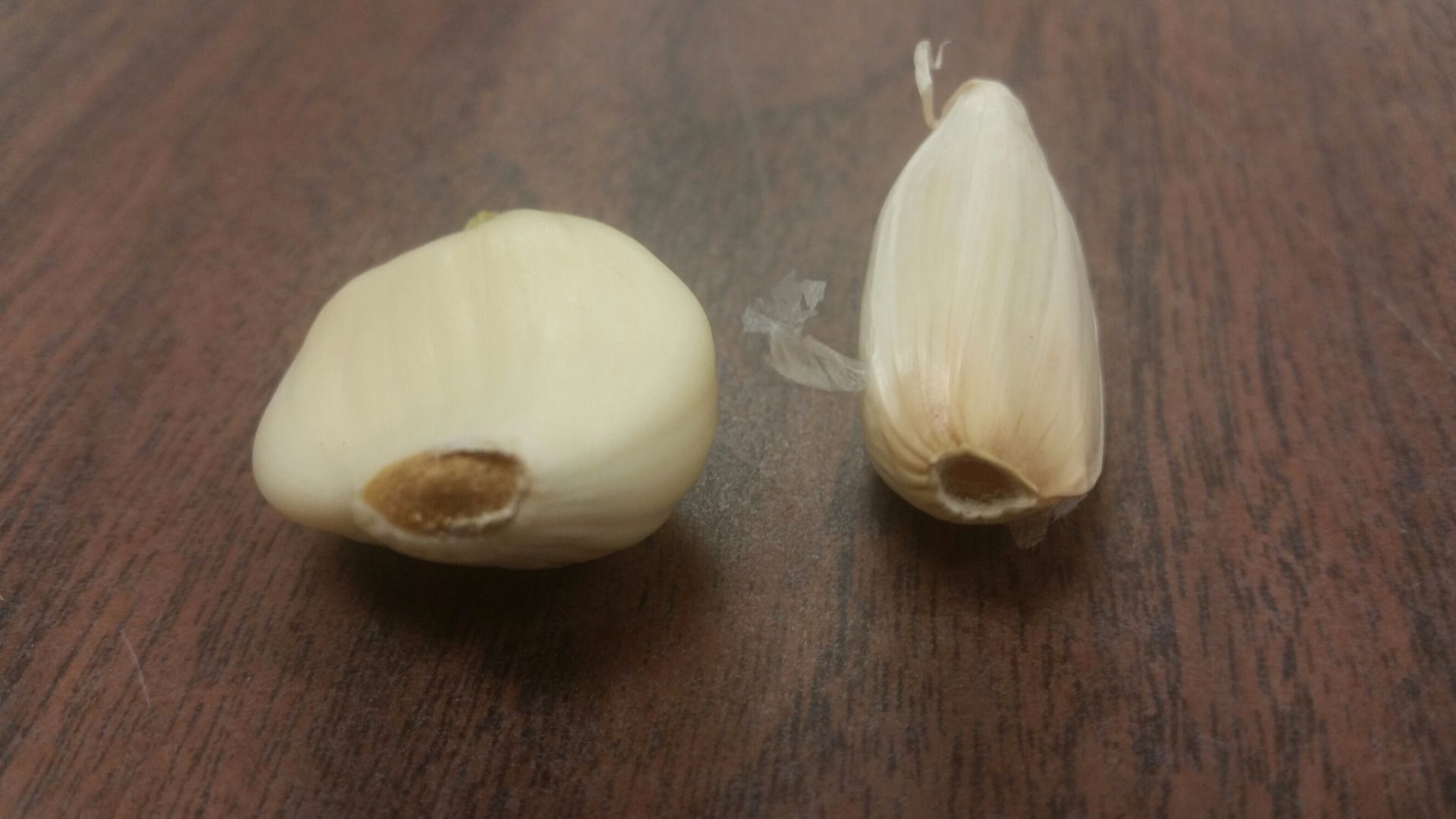 How to Regrow Garlic : 10 Steps - Instructables