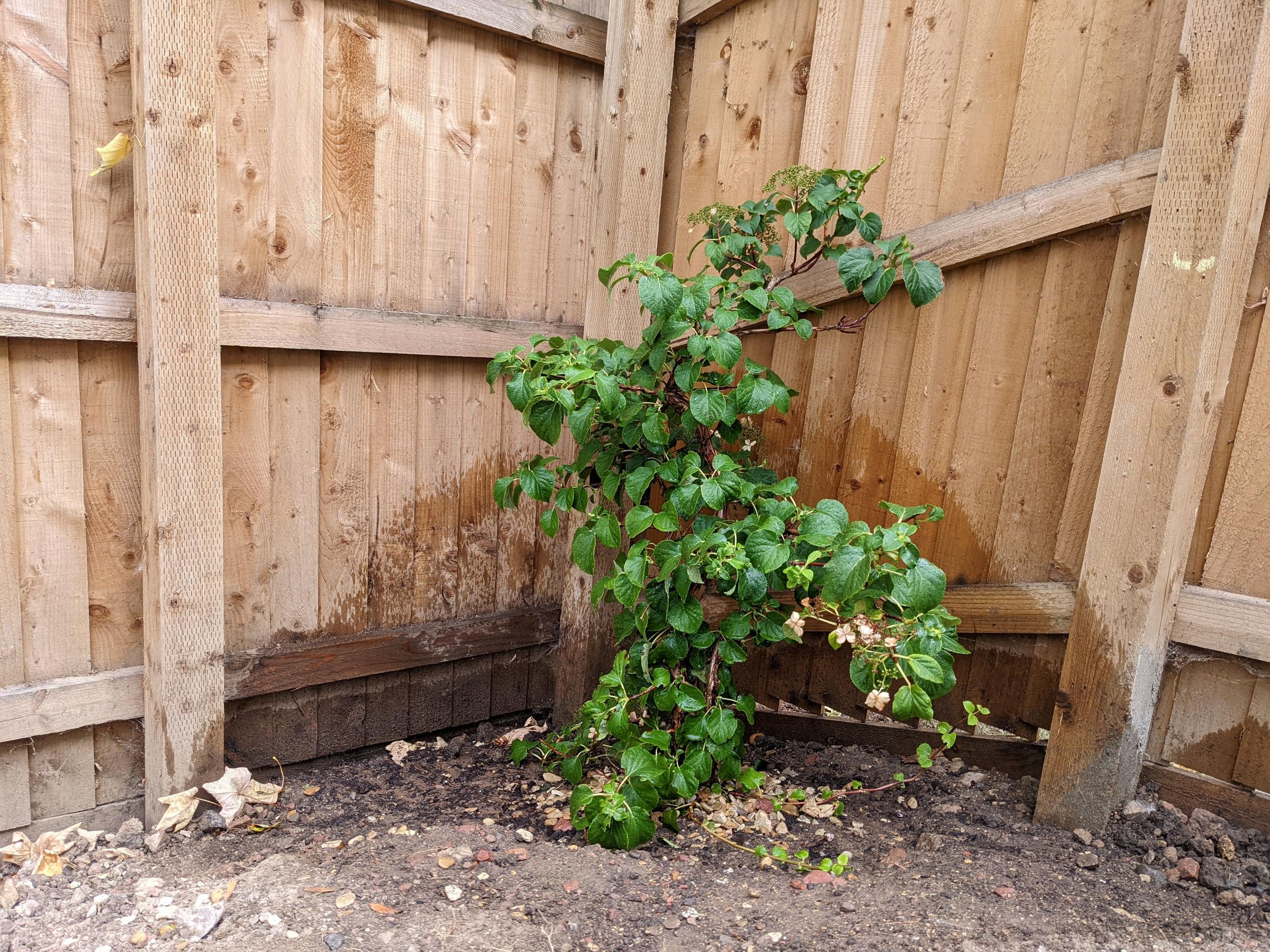 Creating a Beautiful Tiered Garden From a Boring New Build Slope : 8 ...