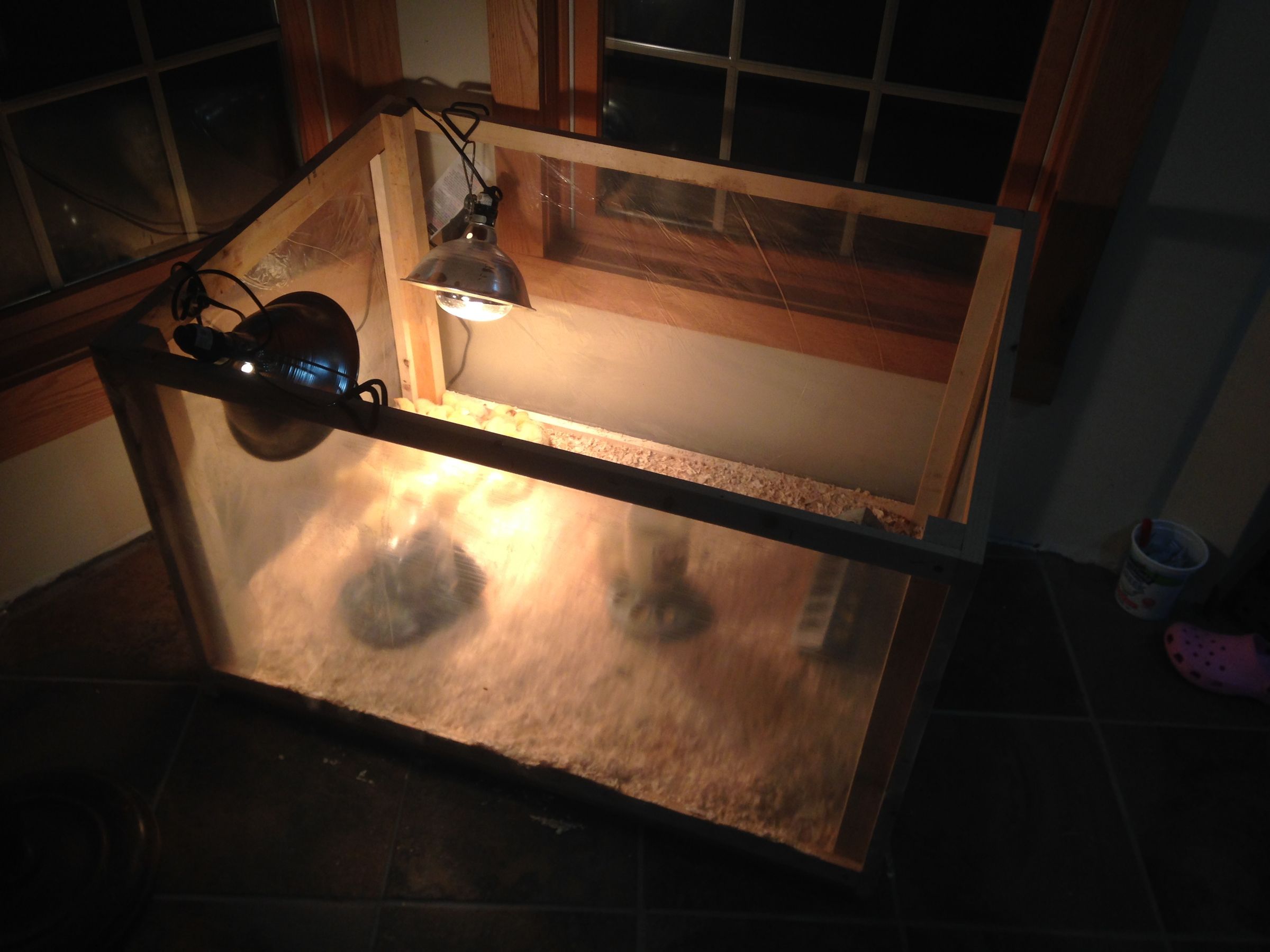 Easy and Cheap Chick Brooder : 3 Steps - Instructables