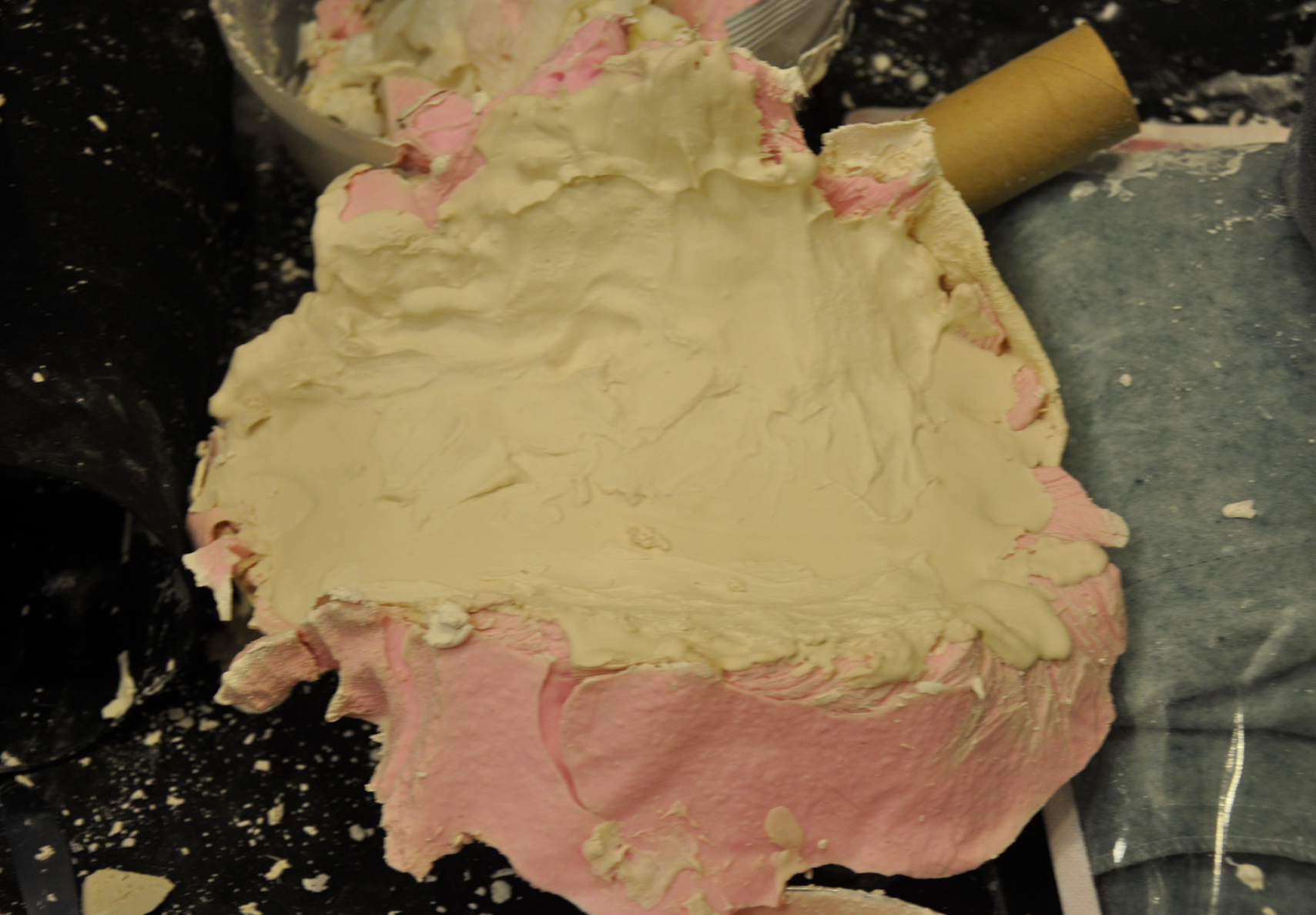Alginate Mold - Face : 6 Steps (with Pictures) - Instructables