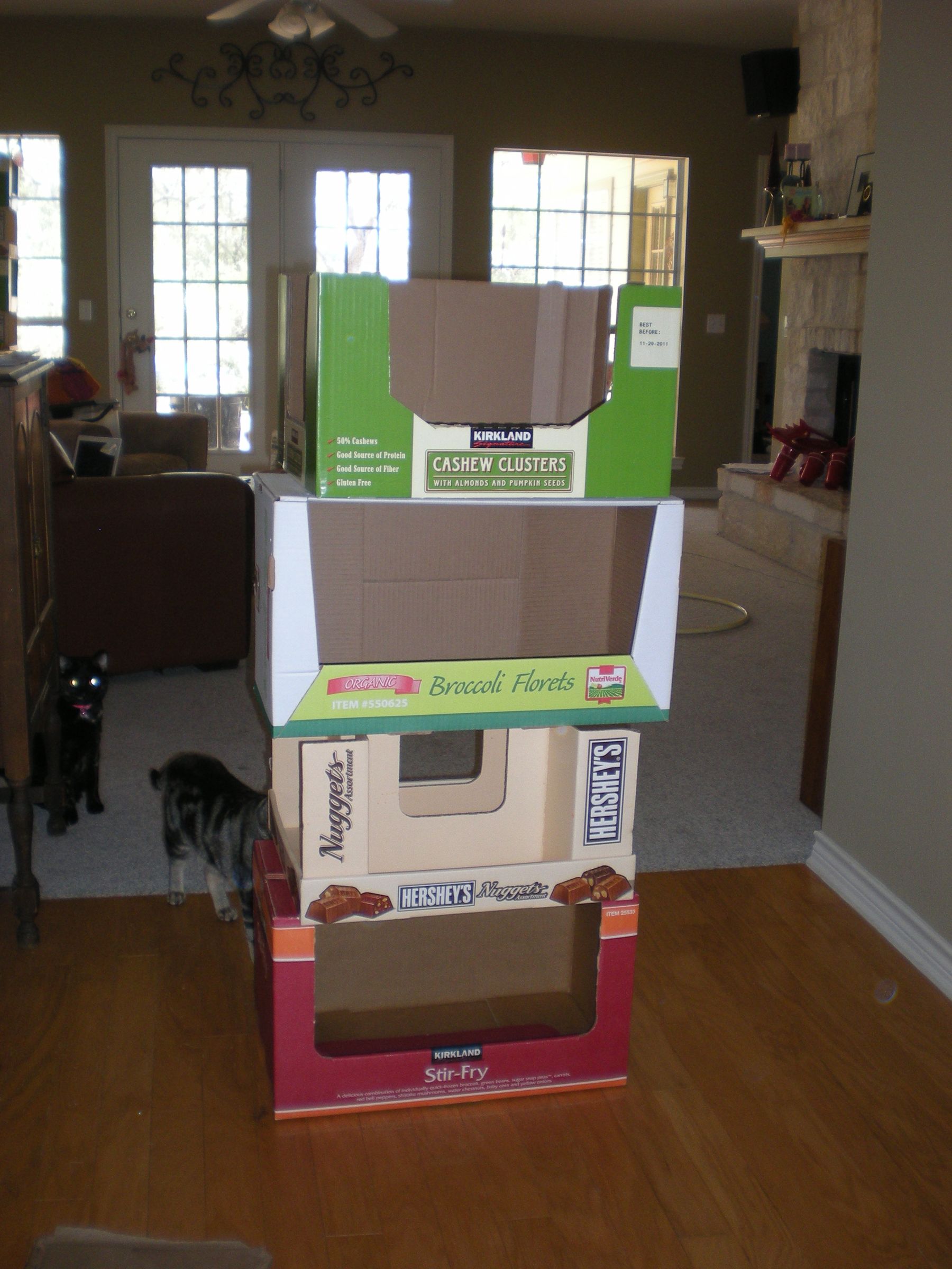 5 Minute Recycled Cardboard Kitty Condo : 3 Steps - Instructables