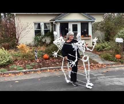 Dancing Skeletons : 5 Steps (with Pictures) - Instructables
