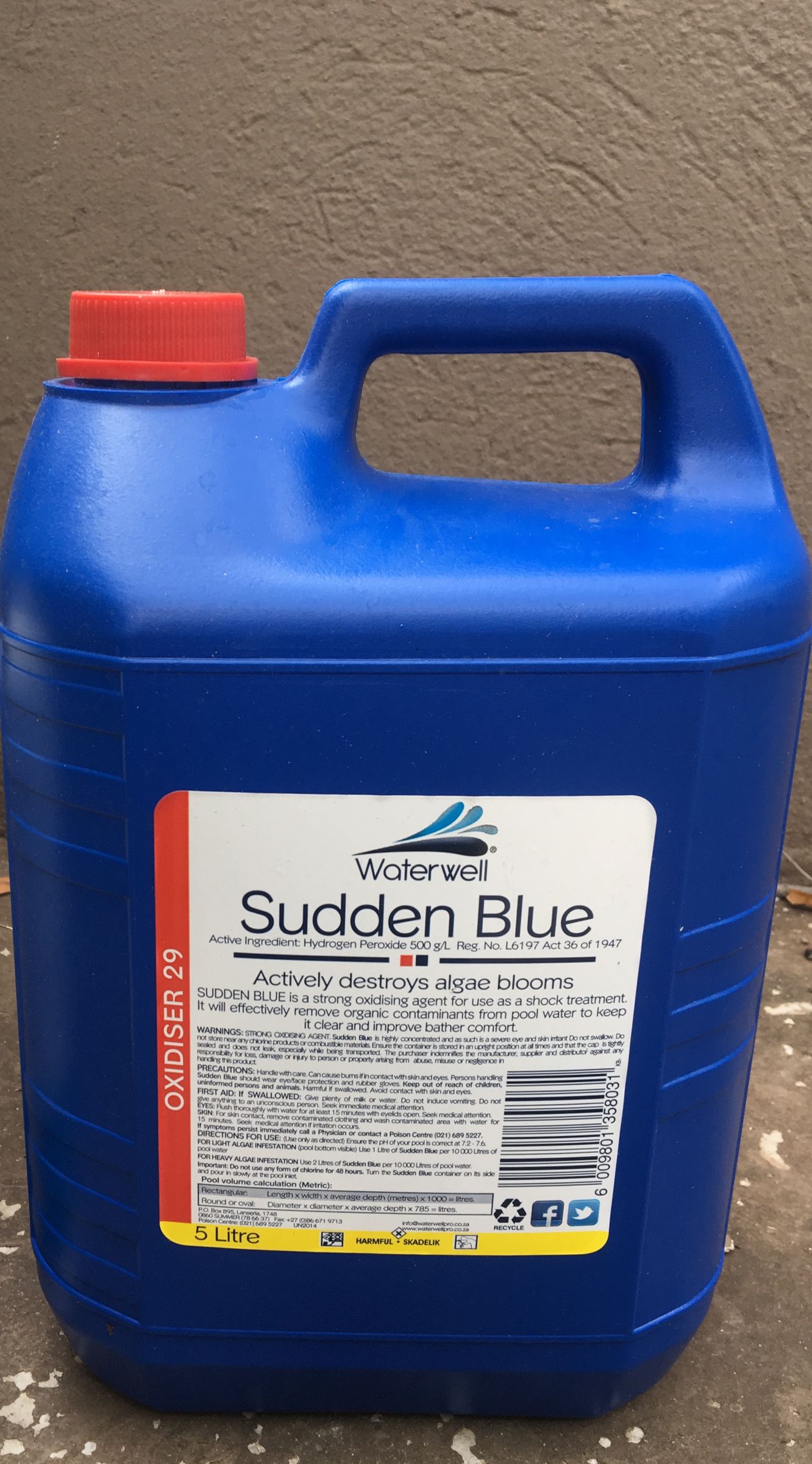 A Pool Story: Green to Clean : 9 Steps - Instructables