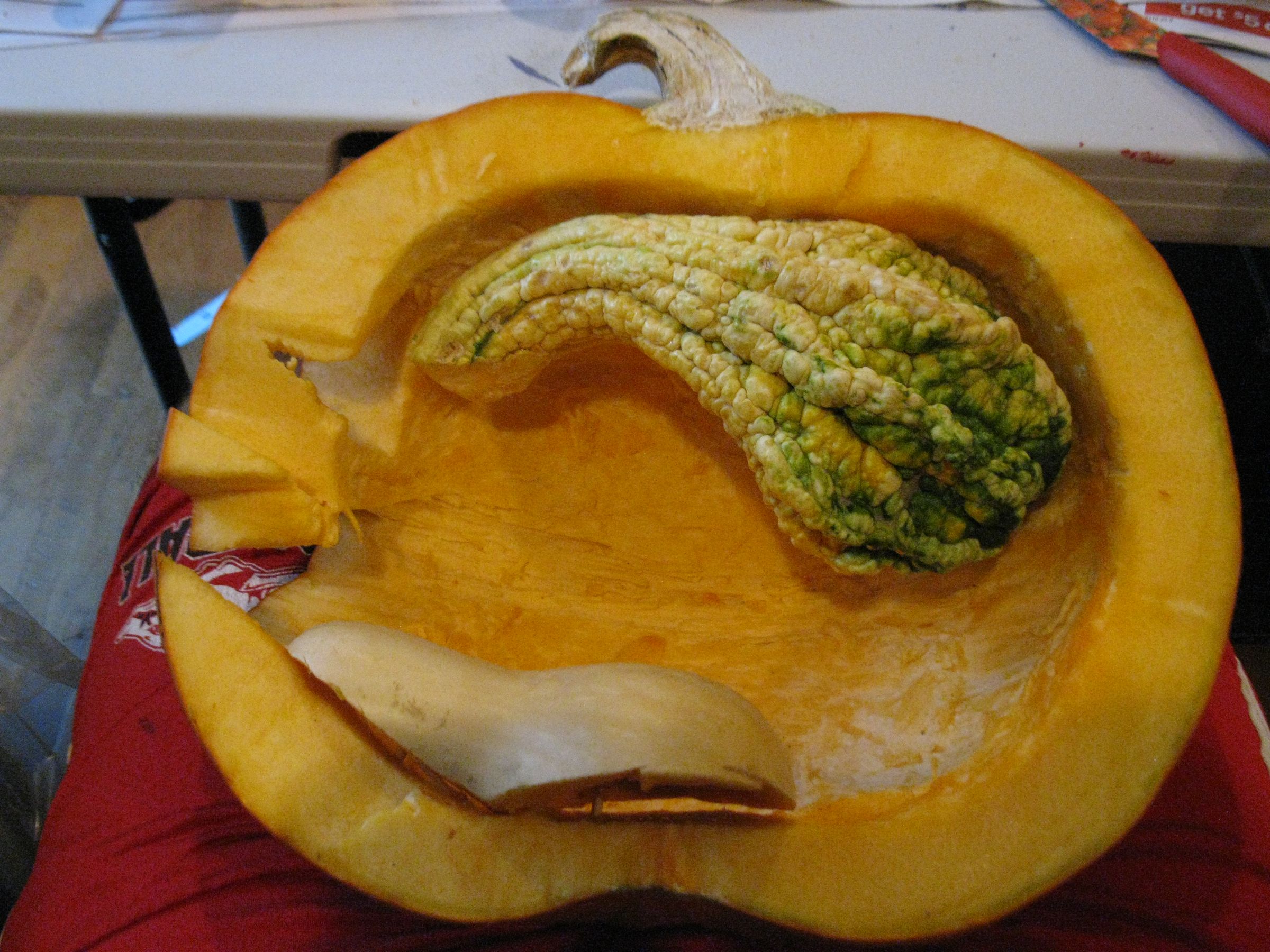 Anatomy of a Jack-O-Lantern : 3 Steps (with Pictures) - Instructables