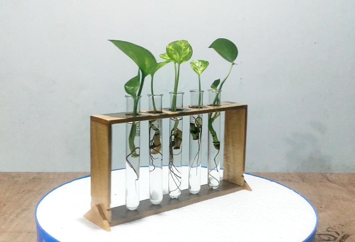 Test Tube Planter | Propagation Station : 9 Steps (with Pictures ...