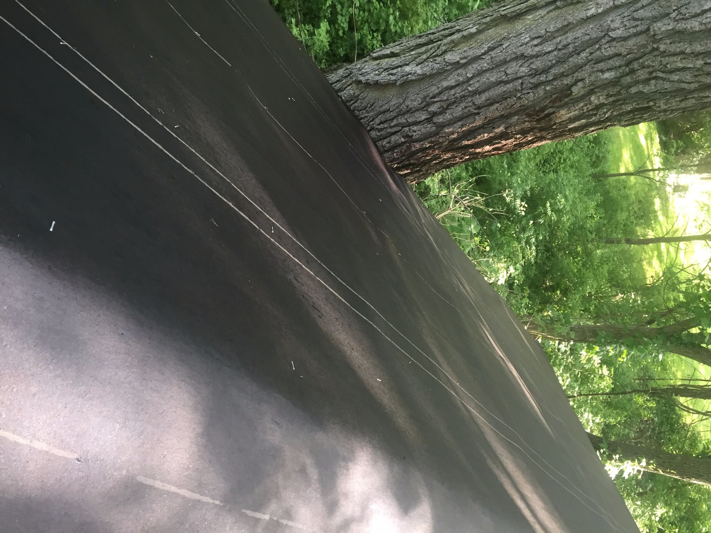 Our Reclaimed TreeHouse : 9 Steps (with Pictures) - Instructables