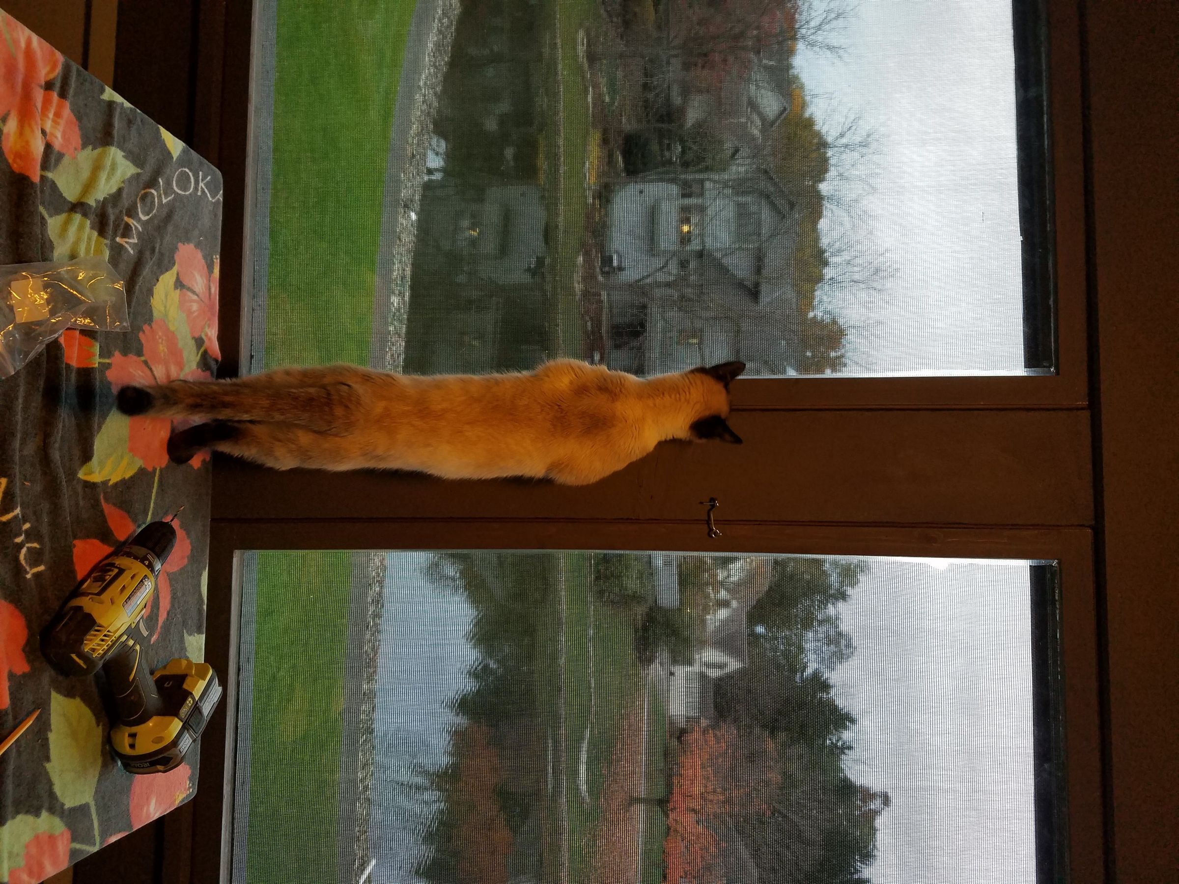 Porch Plexiglass Storm Windows : 5 Steps (with Pictures) - Instructables