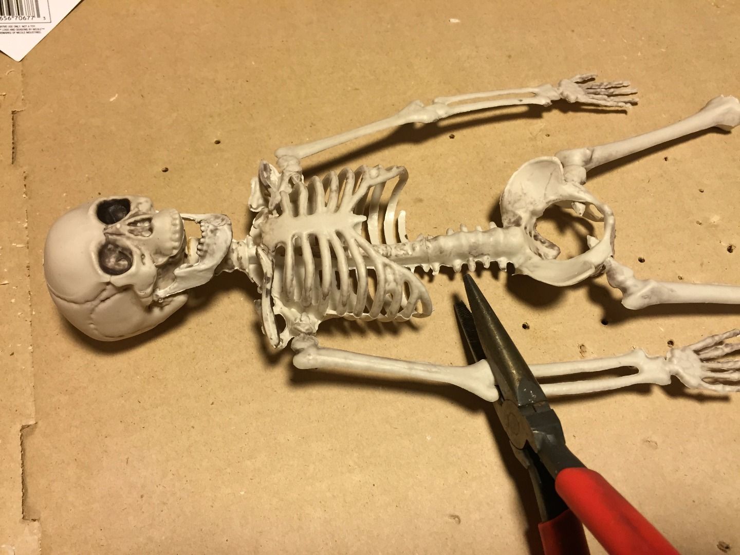 Articulating a Skeleton : 5 Steps (with Pictures) - Instructables