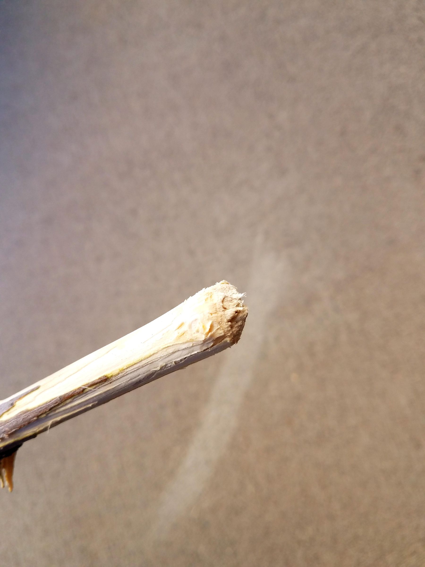 Complete Hobo Stove & Cooking Pots System Bundle, No Tools Build, for ...