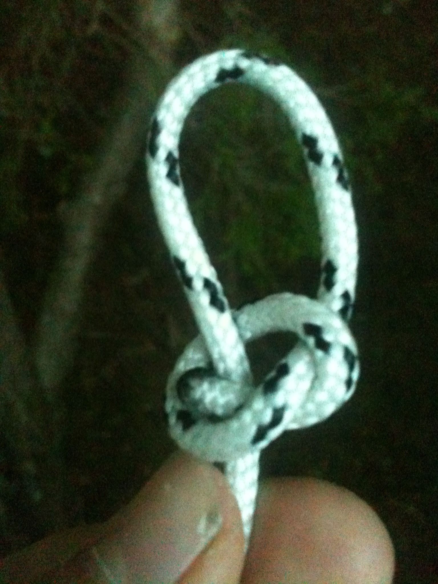 Simple Snare for Small Game : 5 Steps - Instructables