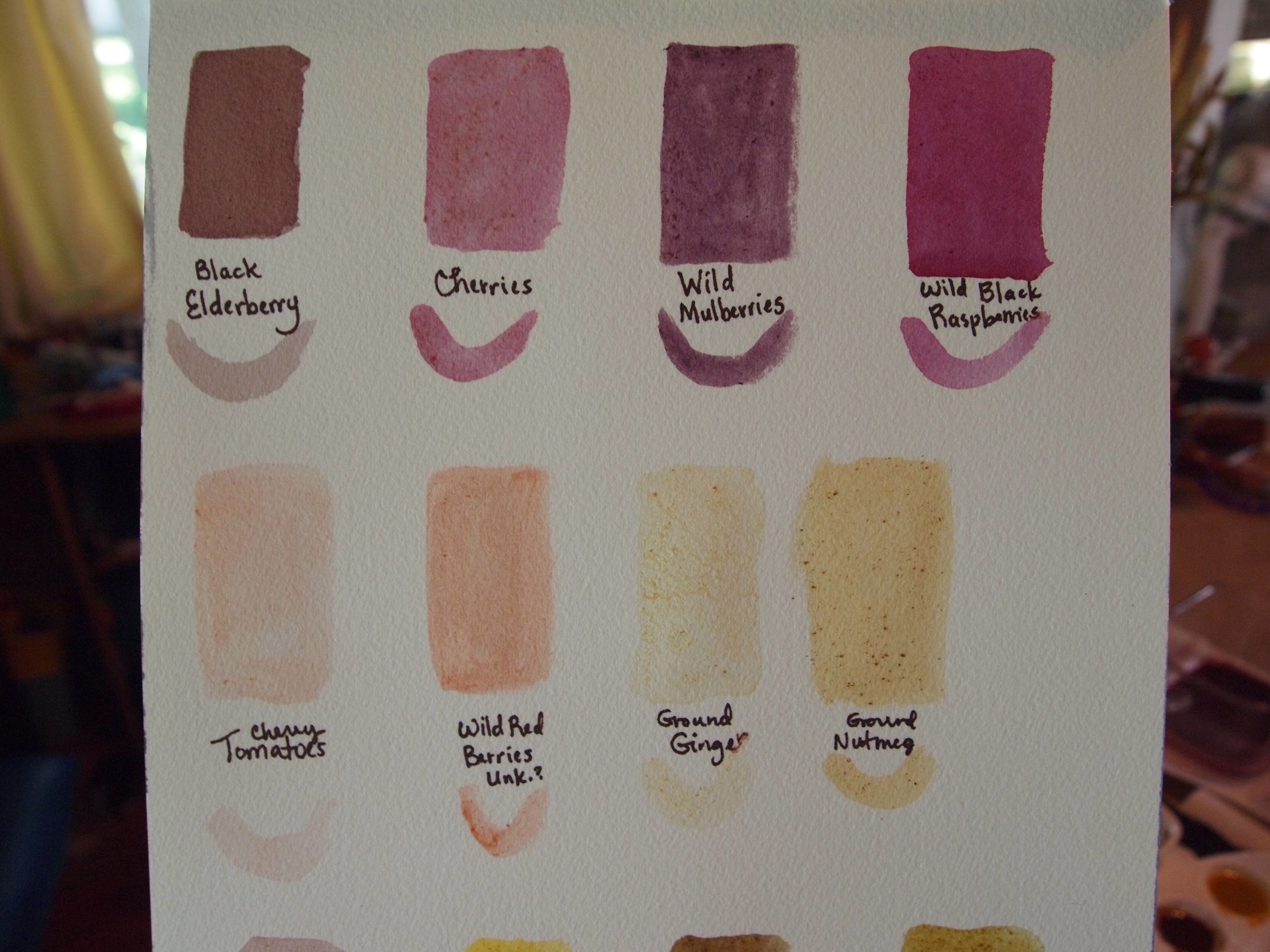 Paint Made From Berries & Nature : 4 Steps (with Pictures) - Instructables