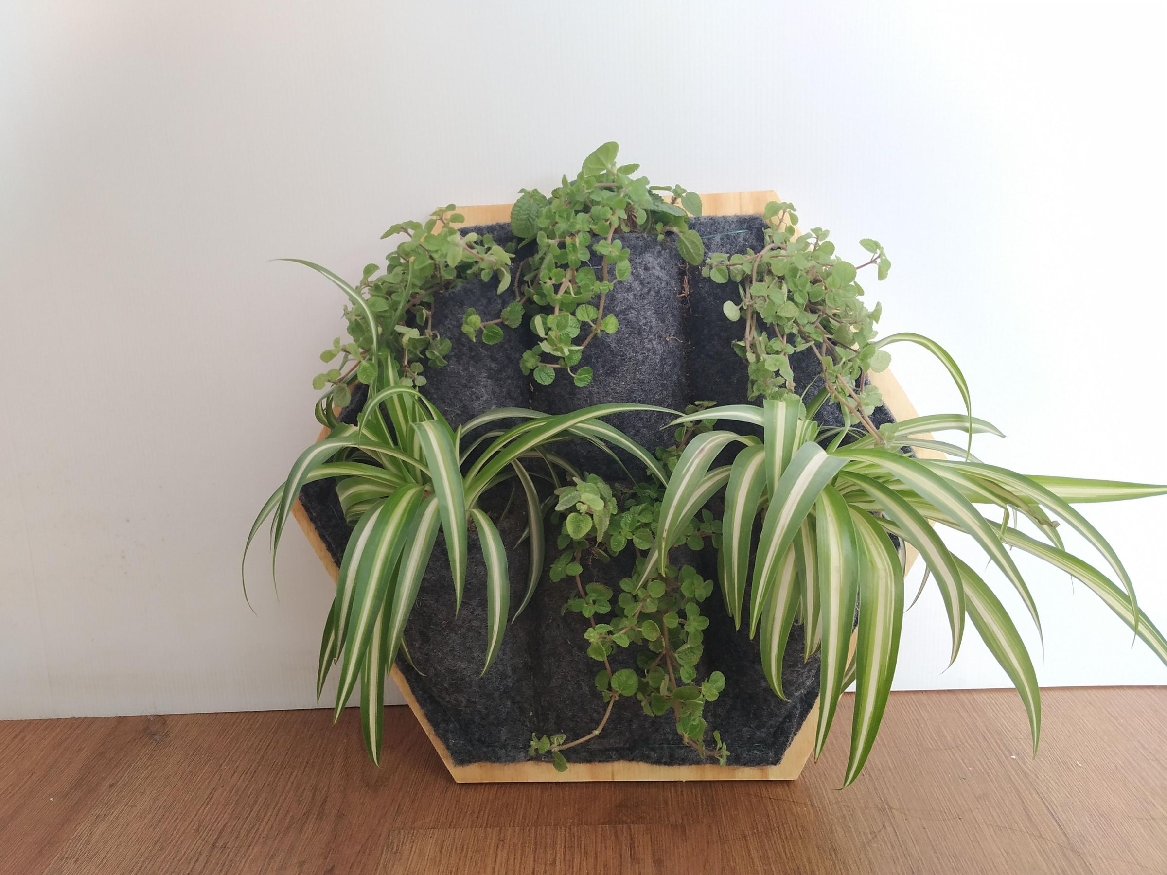 Modular DIY Vertical Garden : 7 Steps (with Pictures) - Instructables