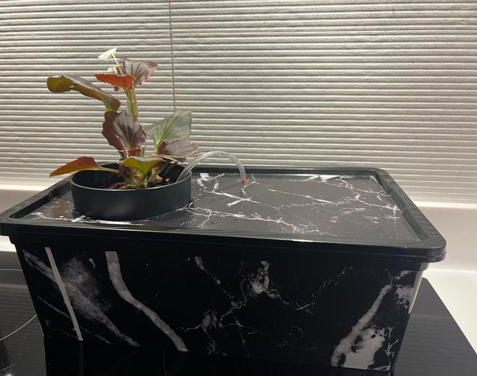 Self-watering Flower Pot !! With Arduino : 4 Steps - Instructables