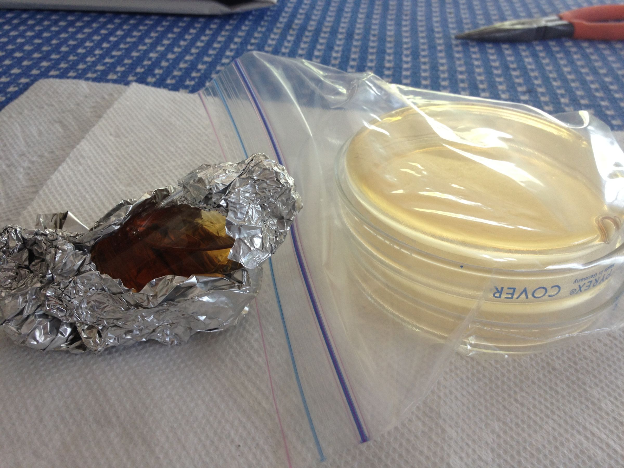 How to Make Solid Culture Medium Plates for Yeast Culture : 8 Steps ...