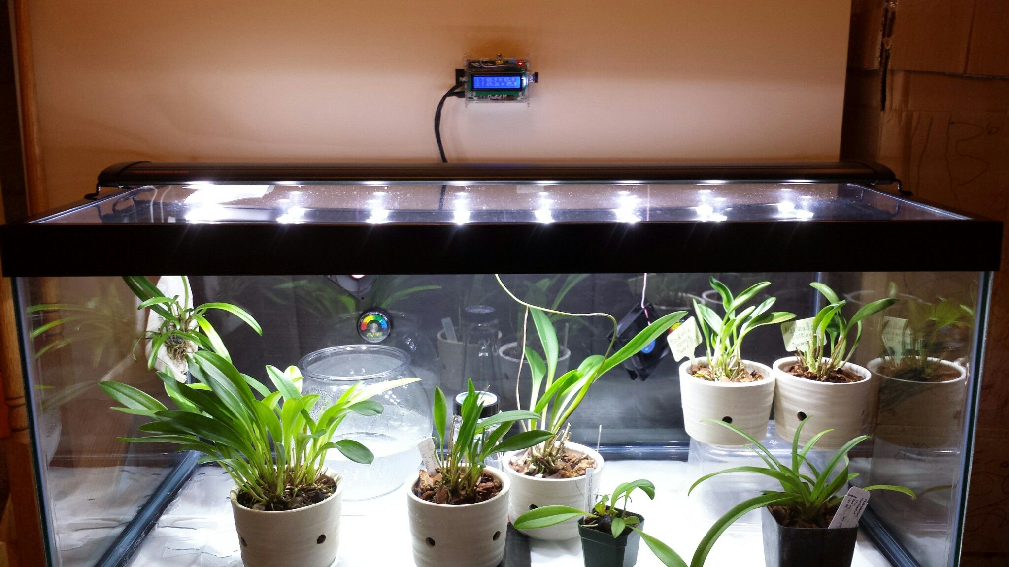 Plant Micro Climate : 5 Steps - Instructables