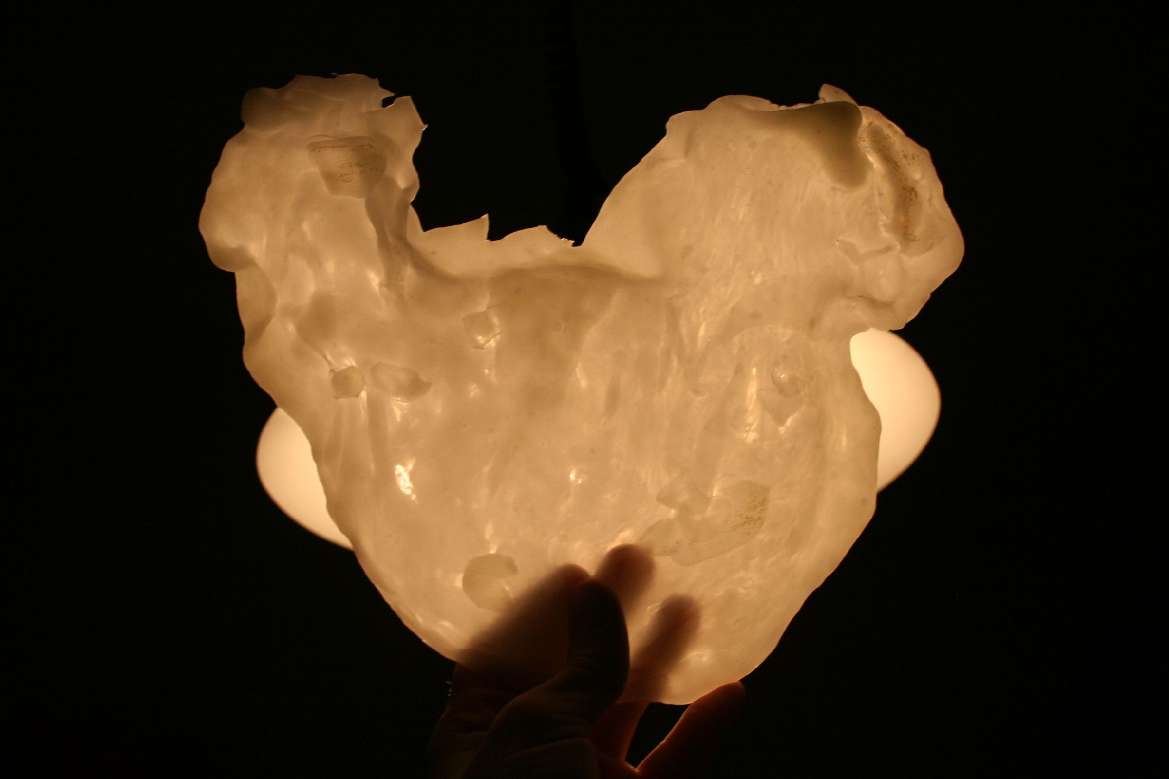 Concrete Chicken (or Anything Else) With Polymorph : 7 Steps ...